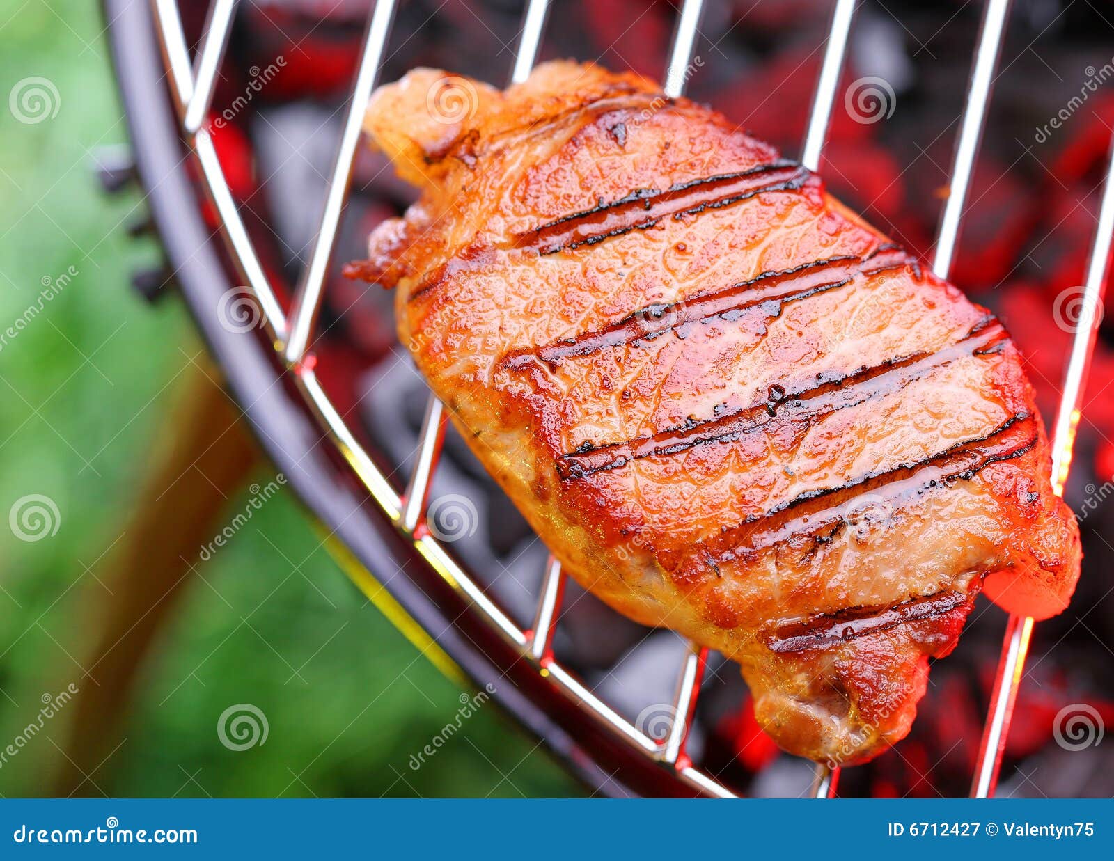 Roasted meat stock image. Image of bait, coal, grate, pork - 6712427