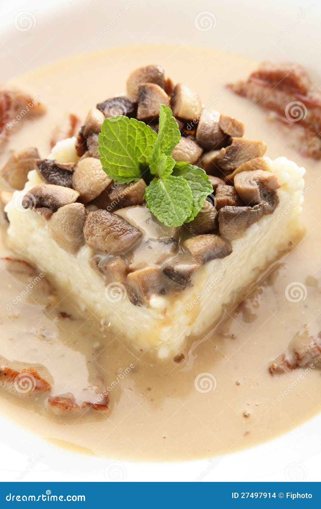 Roasted meat with rise stock photo. Image of nutrition - 27497914