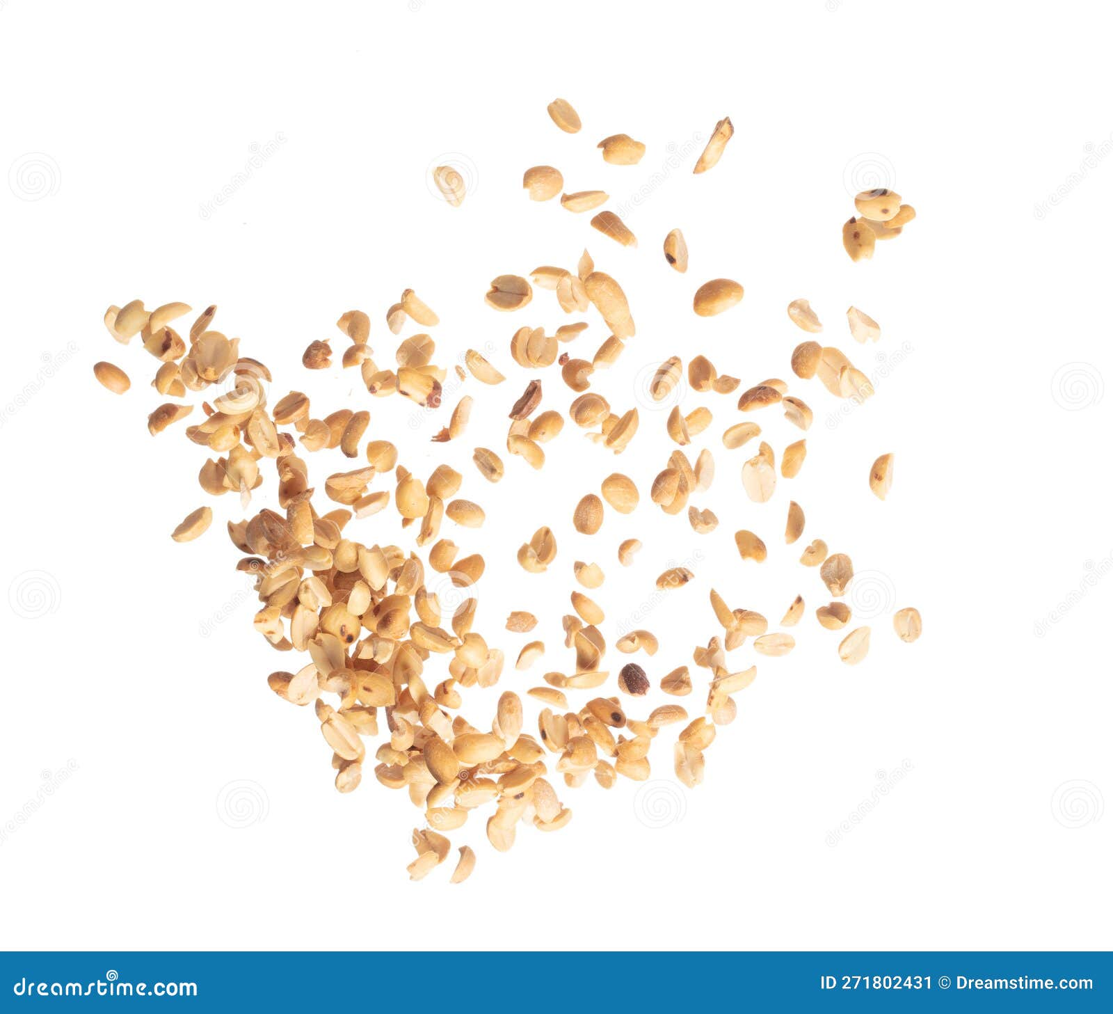 Peanut Bean Angiospermae Cector Illustration With Isolated Dark ...