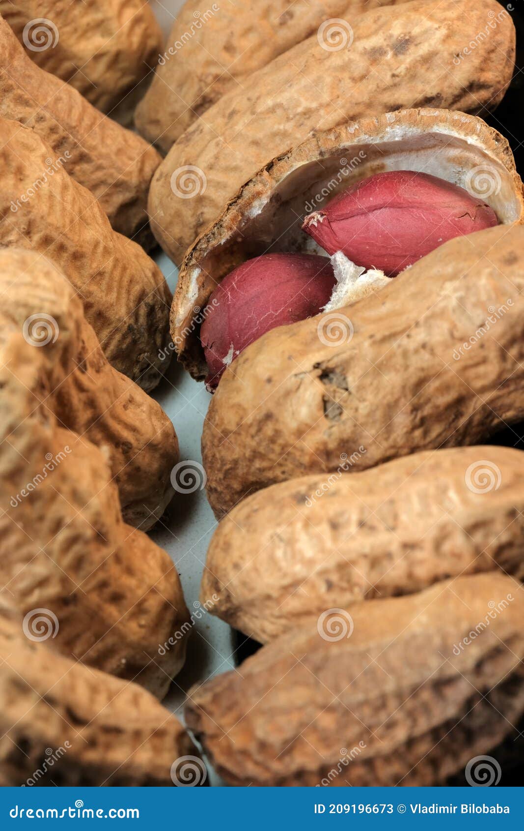 Roasted peanut boxes stock image. Image of seed, nourishment - 209196673