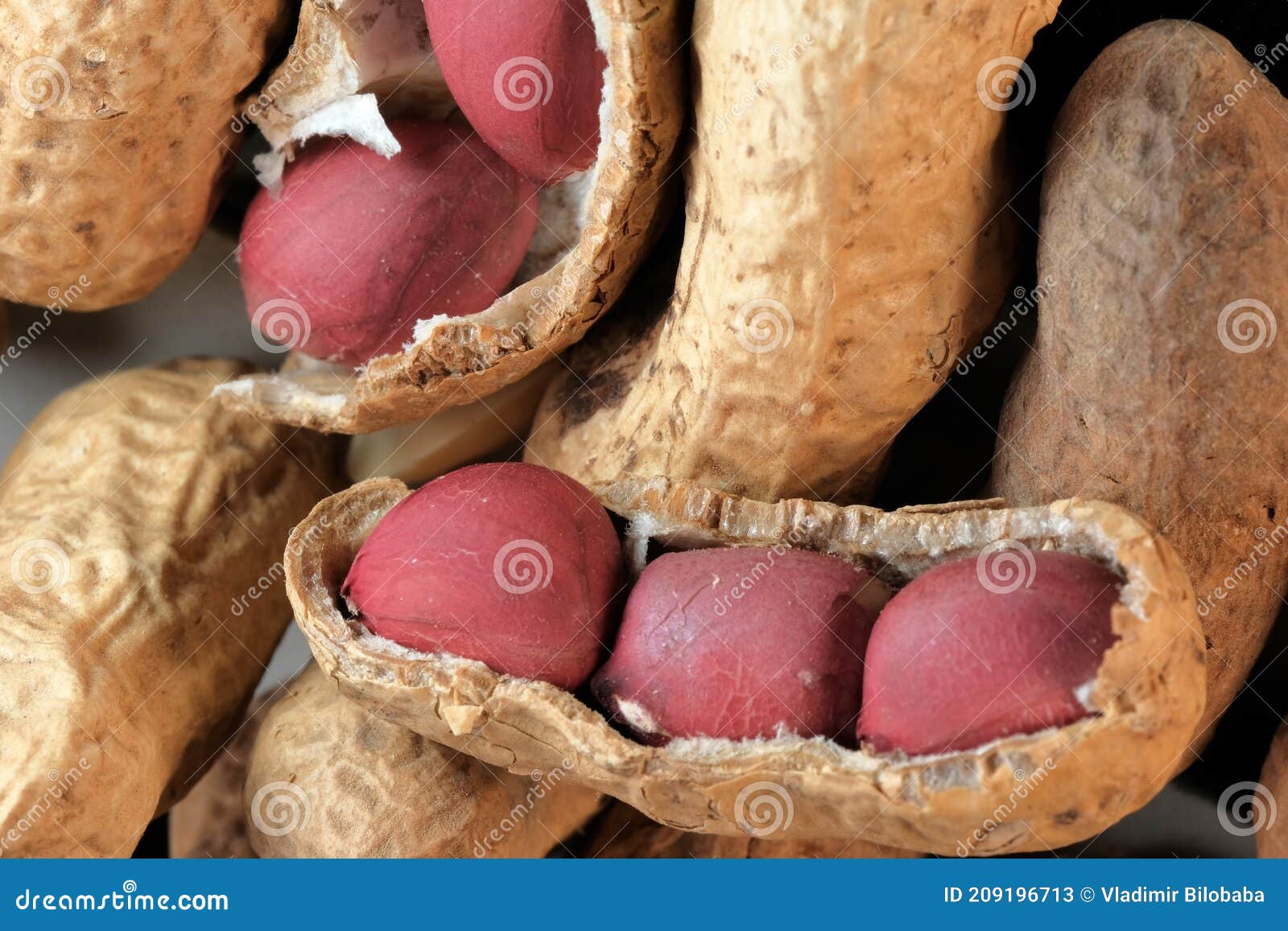 Roasted peanut boxes stock image. Image of delicious - 209196713