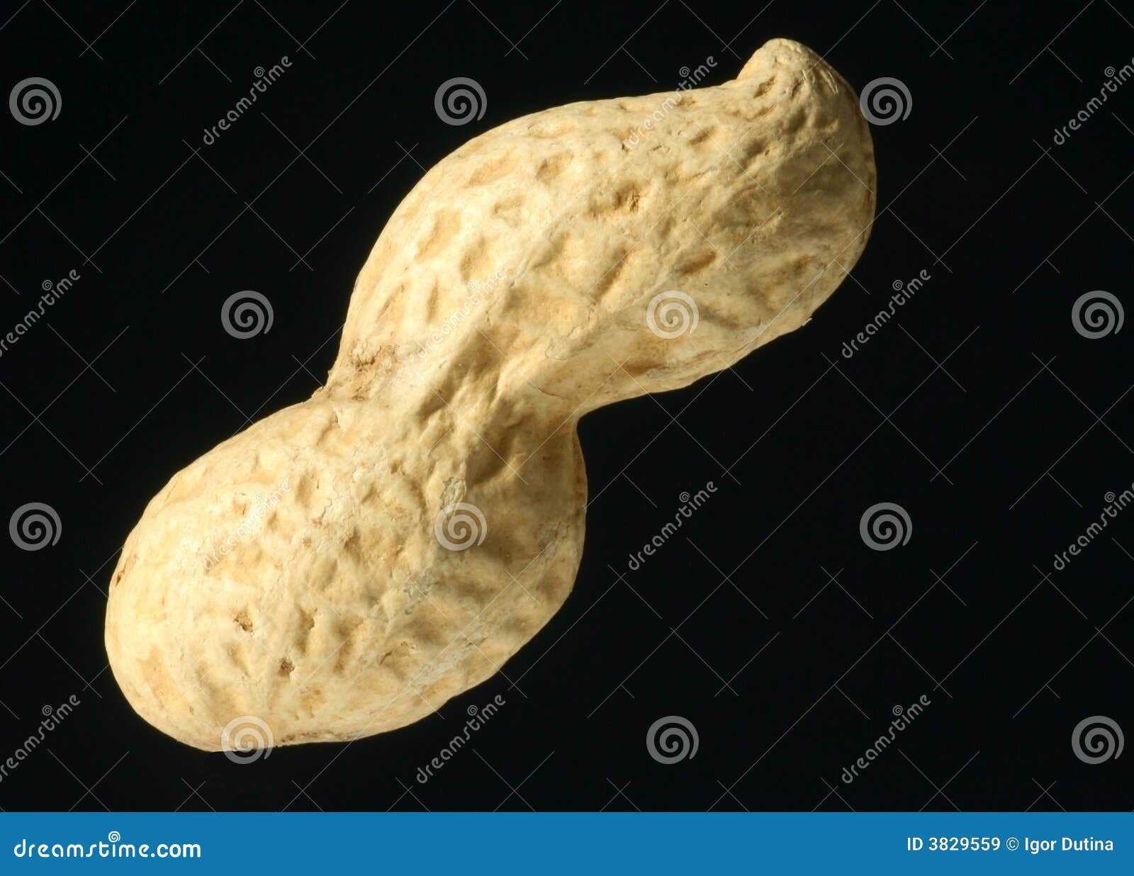 Roasted peanuts on black stock image. Image of grain, healthy - 3829559