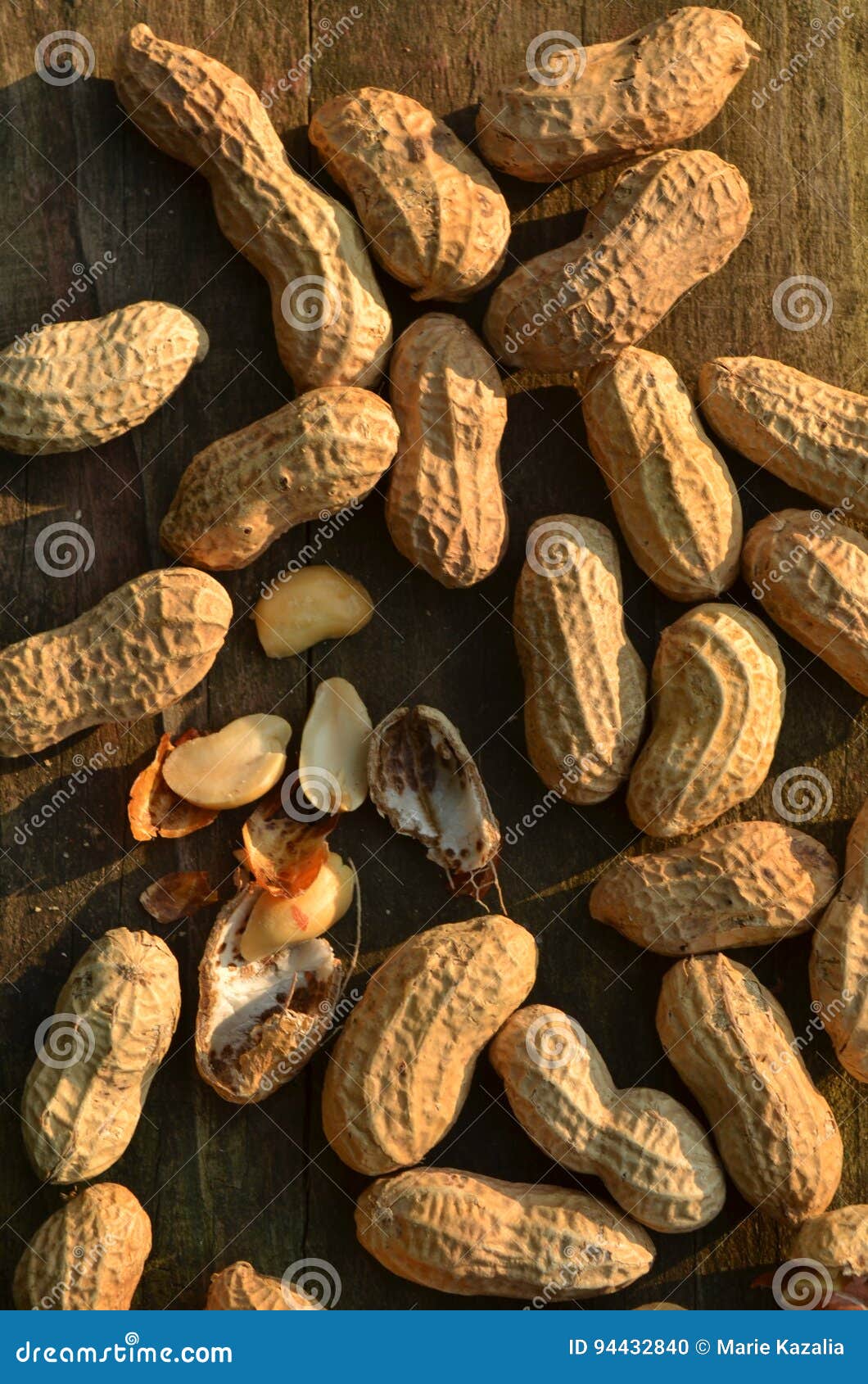 Roasted peanuts in shells stock photo. Image of peanuts - 94432840
