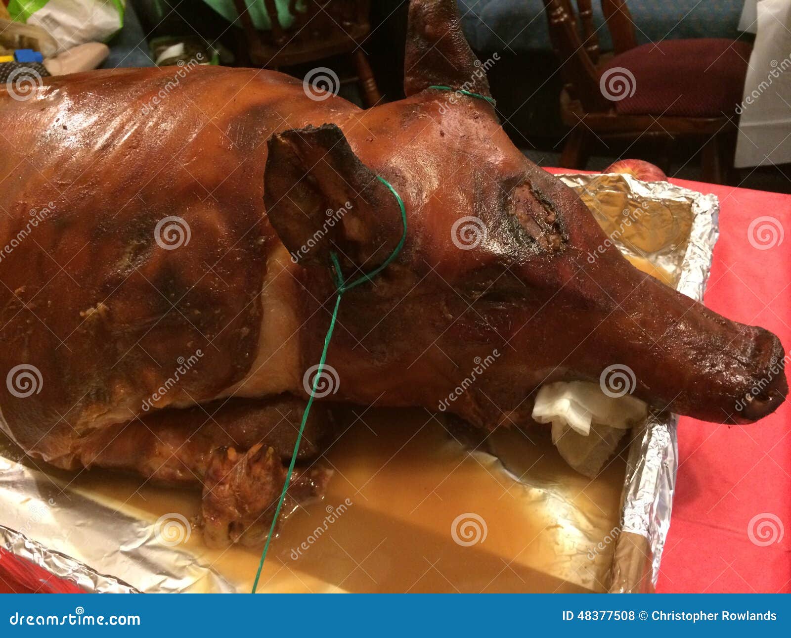 Roasted pig stock photo. Image of crackling, pork, roasted - 48377508
