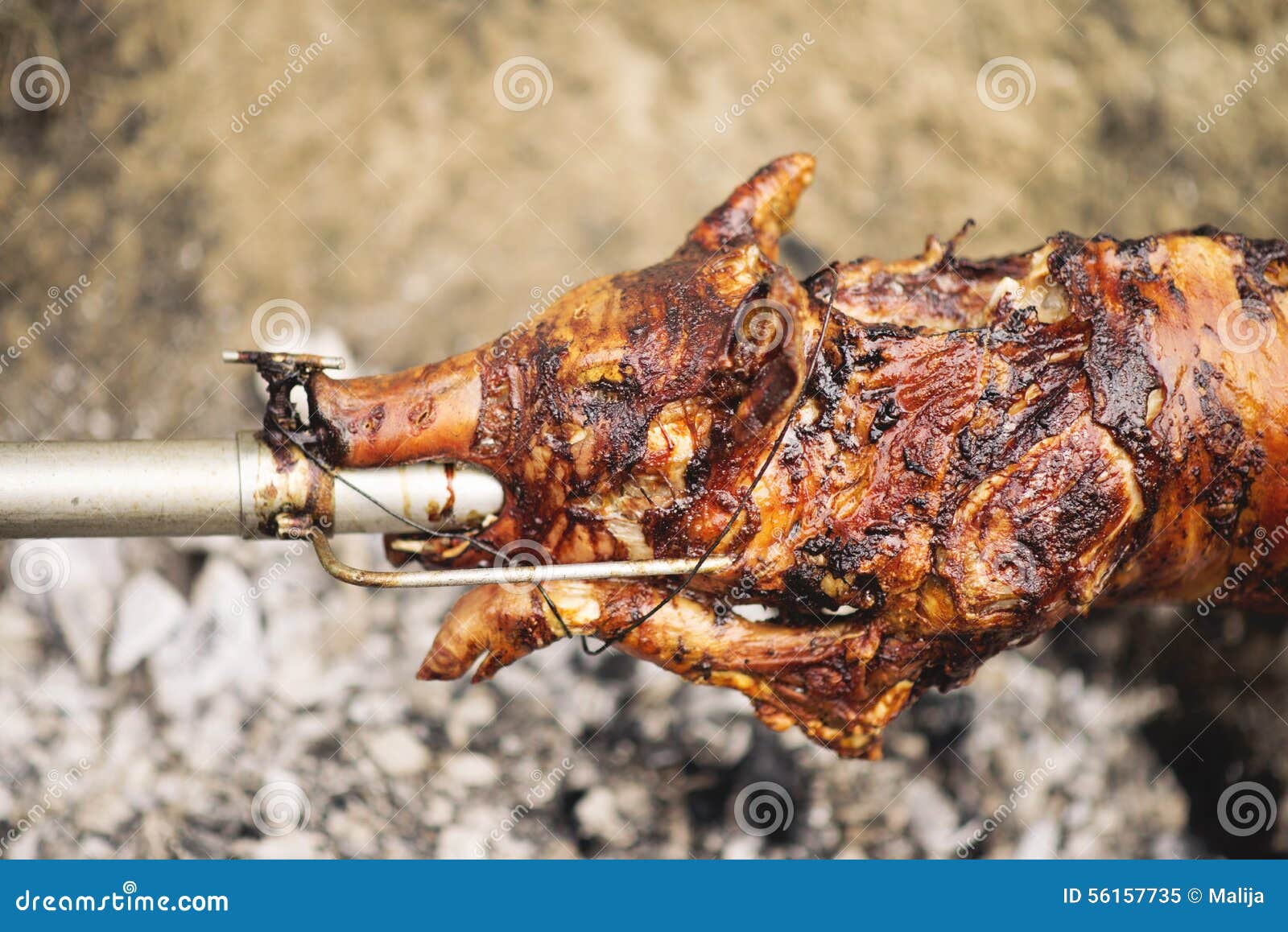 Roasted pig stock image. Image of barbeque, cuisine, festivity - 56157735