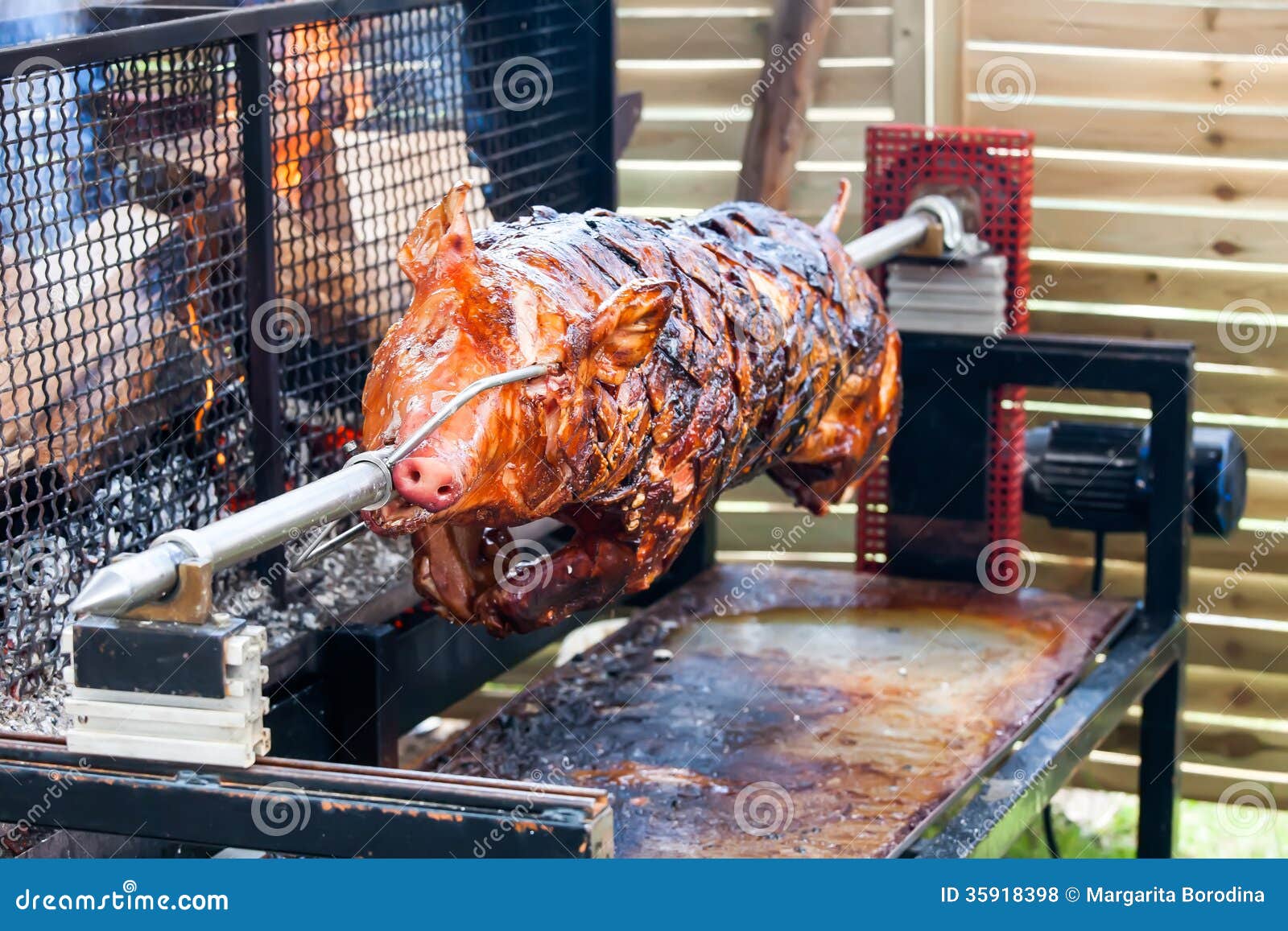 Roasted pig on the rack stock photo. Image of food, fire - 35918398