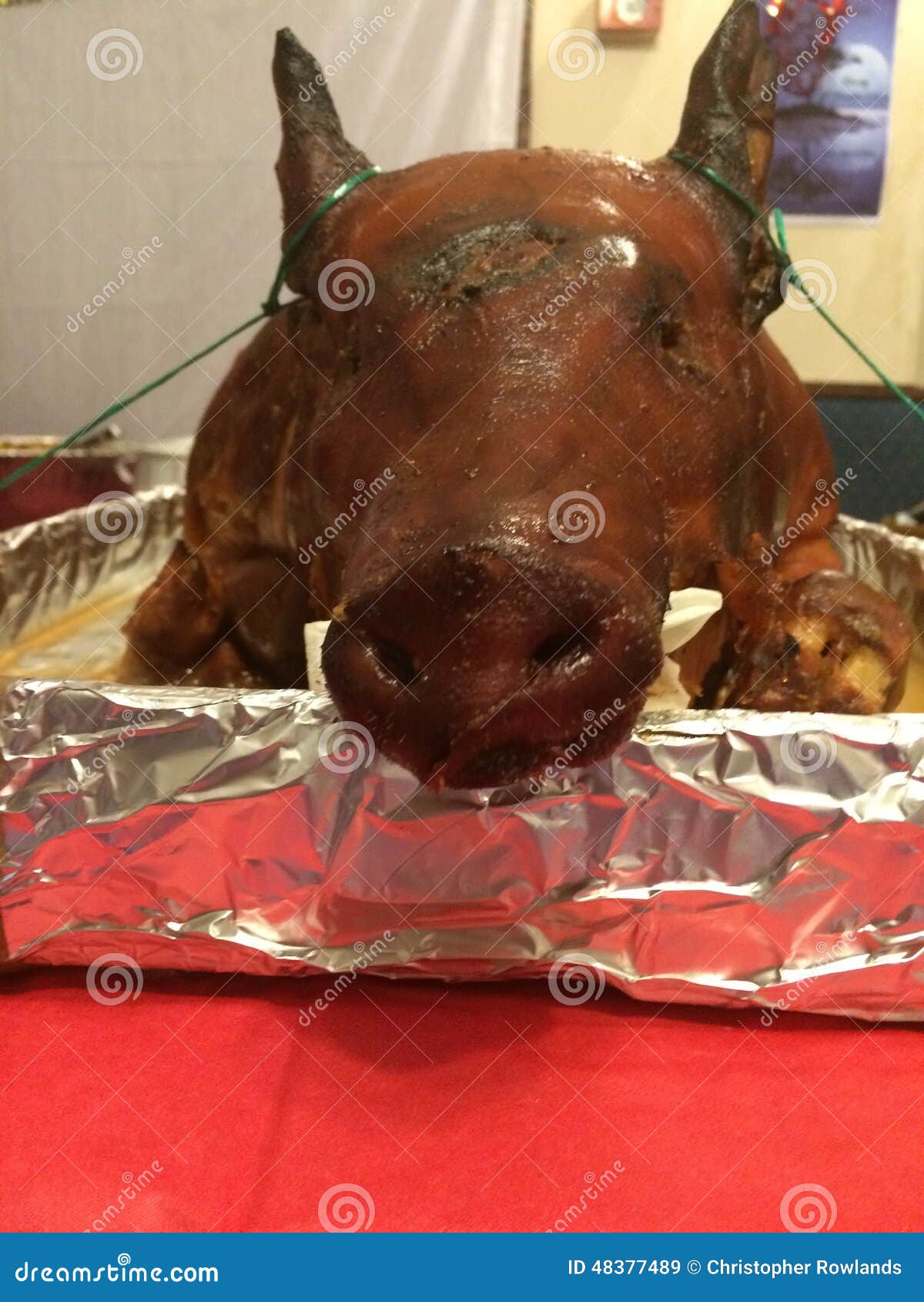 Roasted pig stock image. Image of diets, meat, feed, head - 48377489