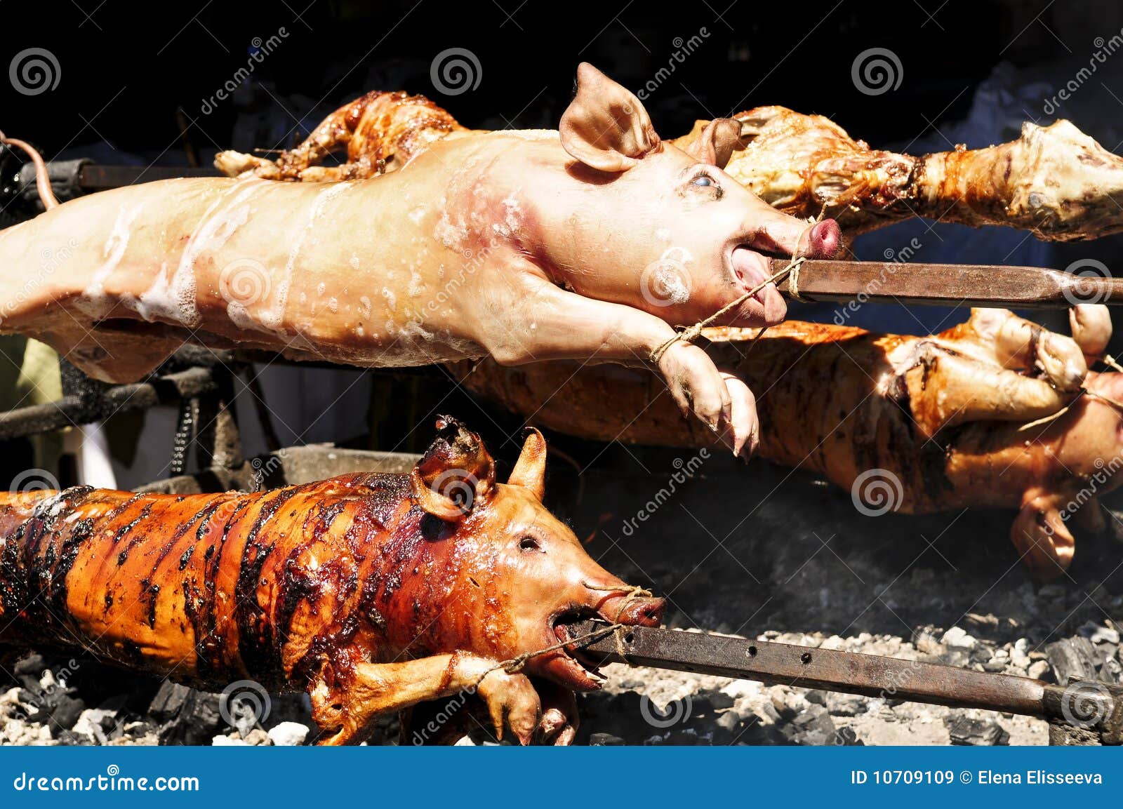 Roasted pigs stock image. Image of pigs, piglets, culture - 10709109