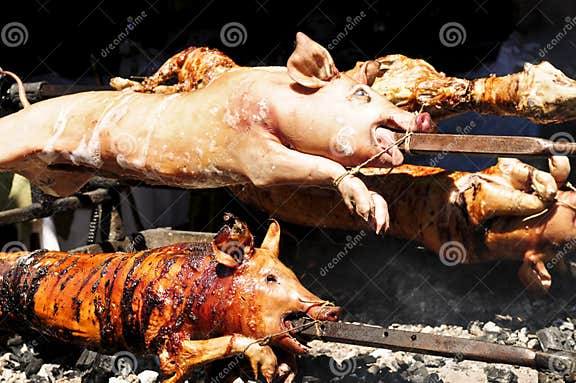 Roasted pigs stock image. Image of pigs, piglets, culture - 10709109