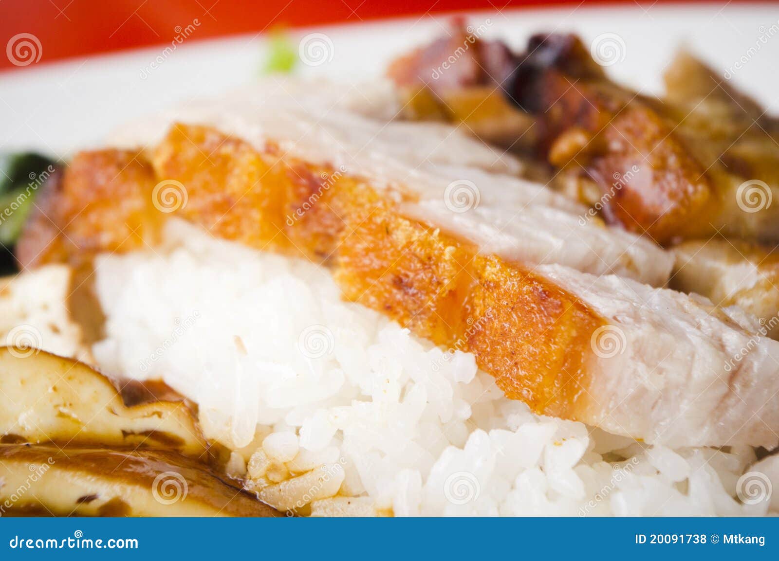 Roasted pork rice stock photo. Image of singapore, dishes - 20091738