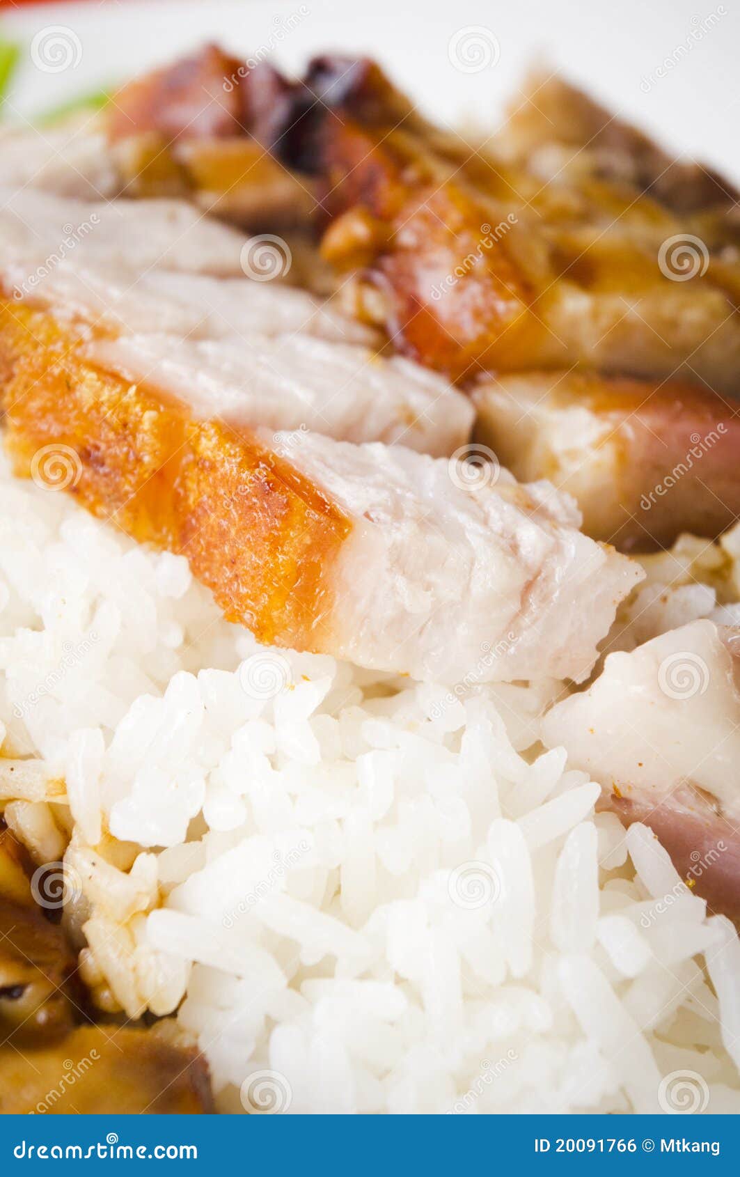 Roasted pork rice stock photo. Image of pork, gourmet - 20091766