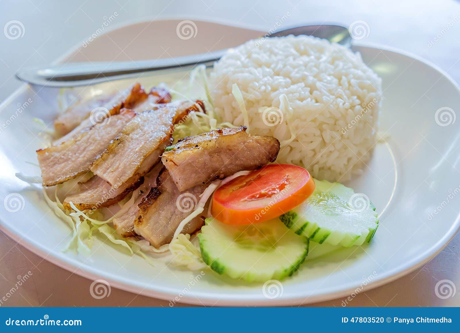 Roasted pork with rice stock photo. Image of style, roast - 47803520