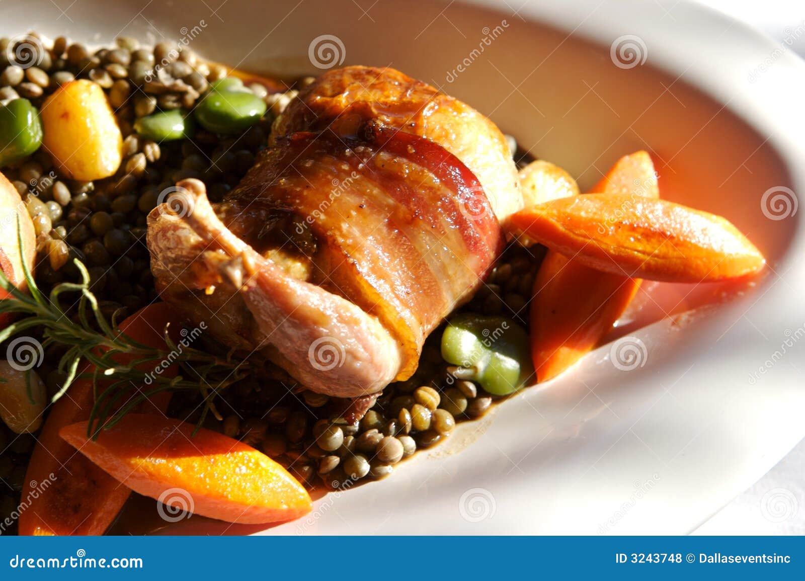 Roasted Quail stock photo. Image of carrots, gourmet, ballotine - 3243748