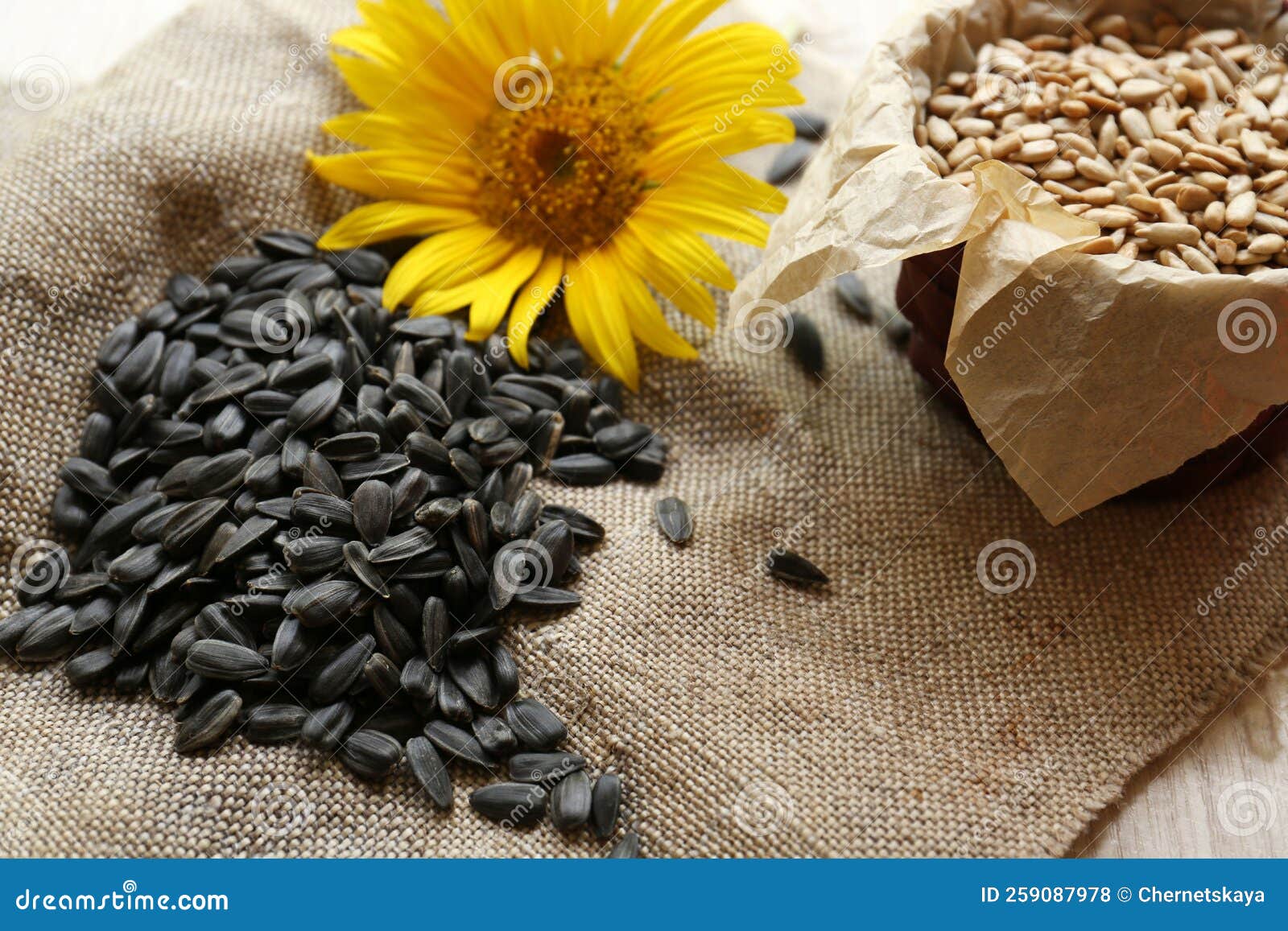 Roasted and Raw Sunflower Seeds with Flower on Table Stock Photo ...