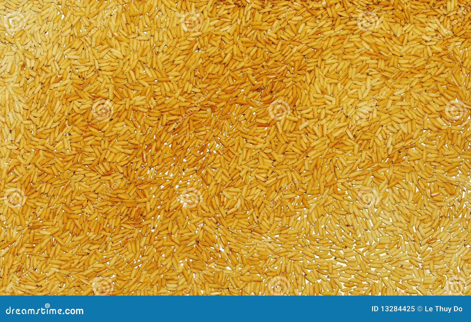 Roasted Rice stock image. Image of grain, burn, food - 13284425