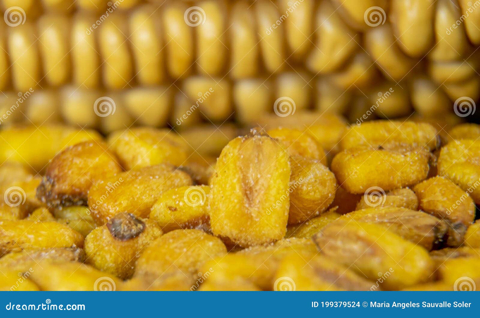 Roasted and salted corn. stock photo. Image of snack - 199379524