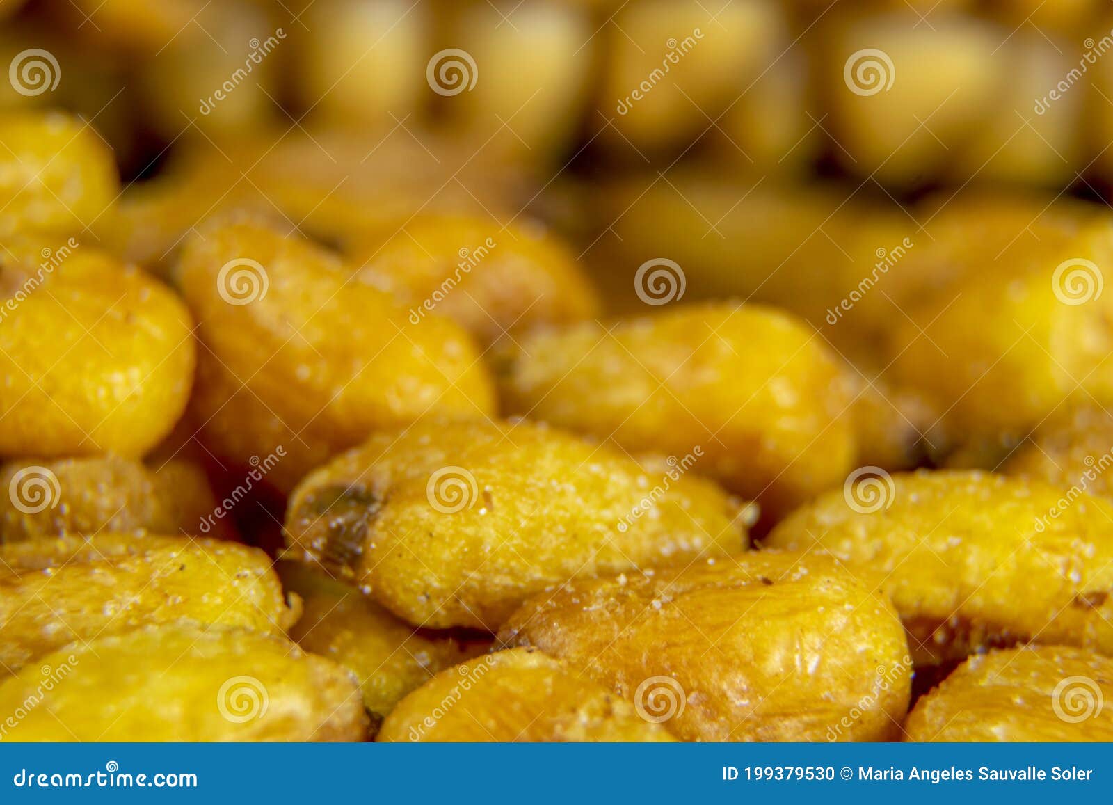 Roasted and salted corn. stock photo. Image of roasted - 199379530