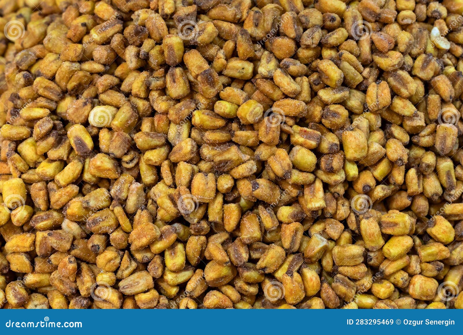 Roasted Salted Corn Snack. Toasted Corn Nuts. Pattern of Yellow Corn ...