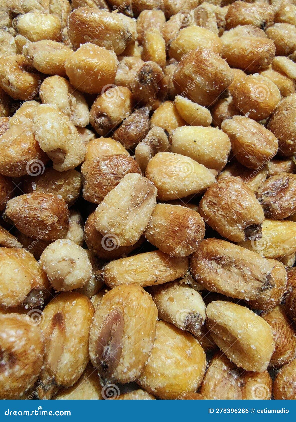 Roasted and Salty Corn Closeup Stock Photo - Image of food, fish: 278396286