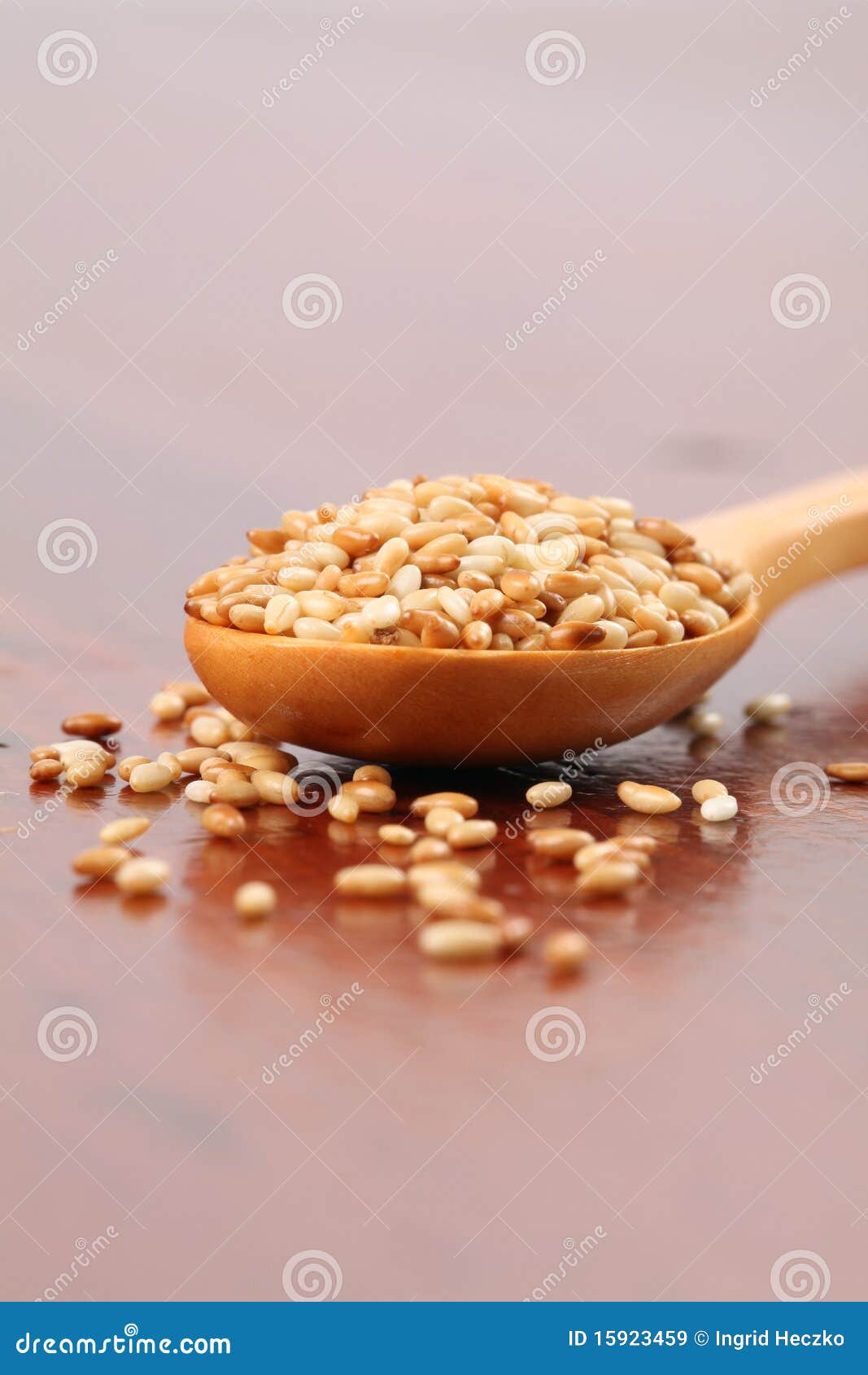 Roasted sesame seeds stock image. Image of copyspace - 15923459