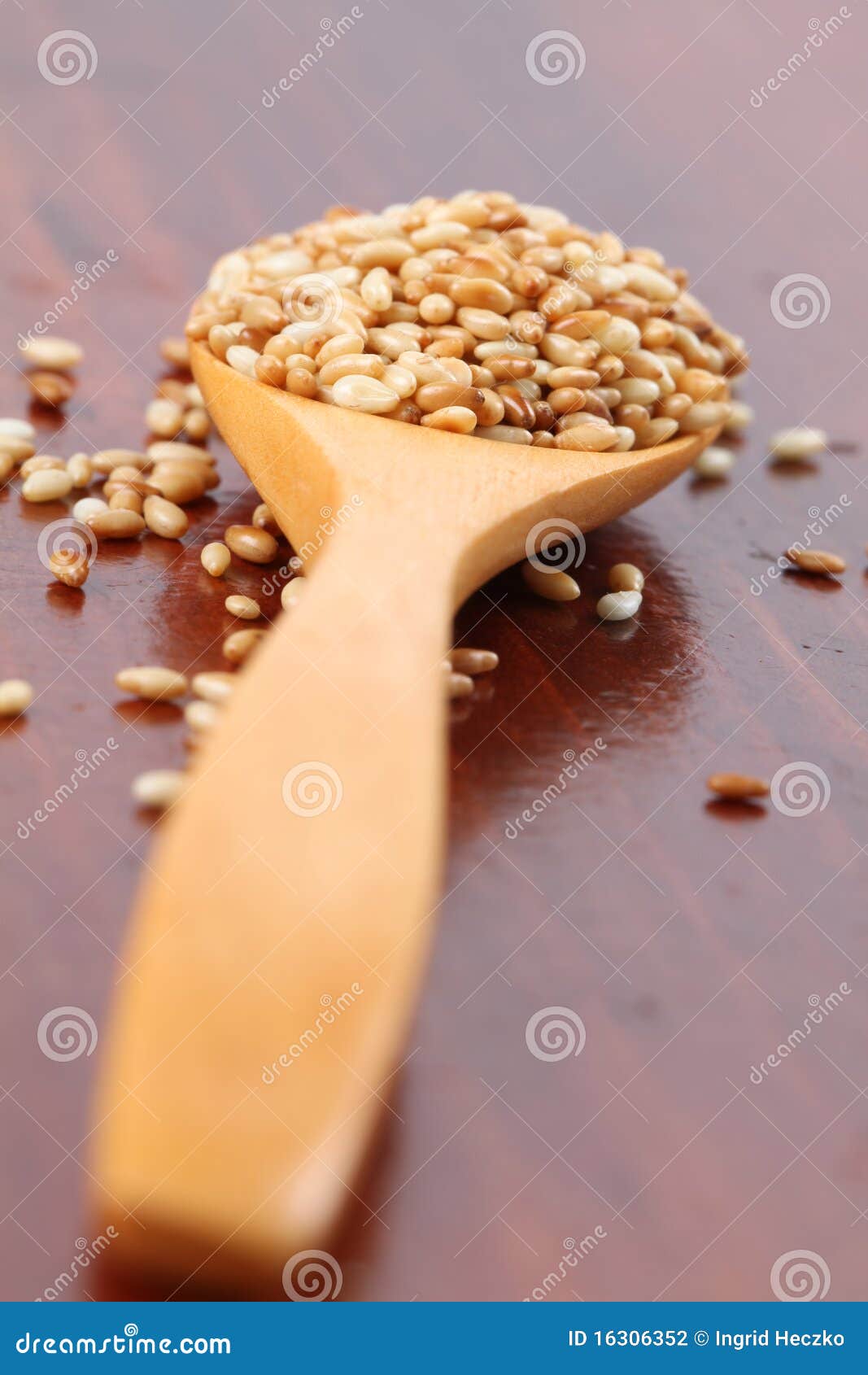 Roasted sesame seeds stock photo. Image of aromatic, close - 16306352