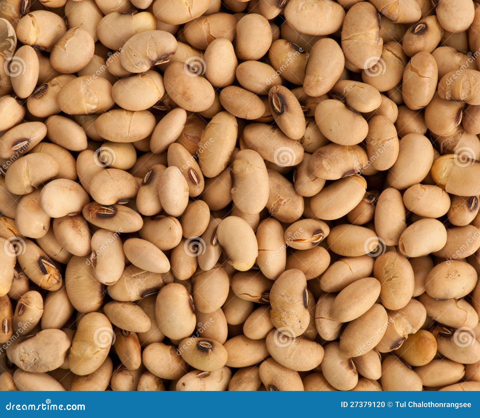 Roasted soy bean stock photo. Image of plant, protein - 27379120