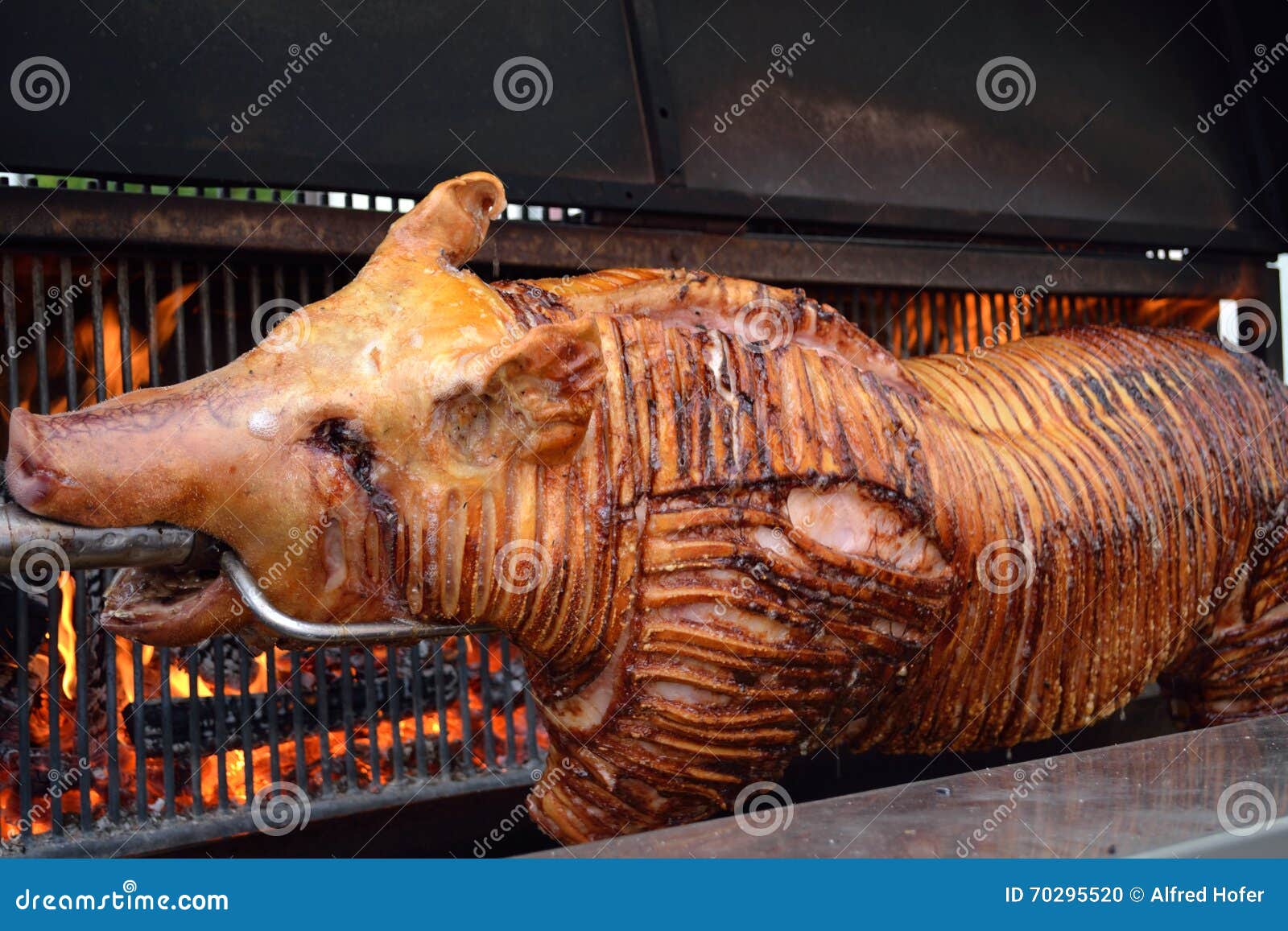 Roasted suckling pig stock photo. Image of fire, cook - 70295520