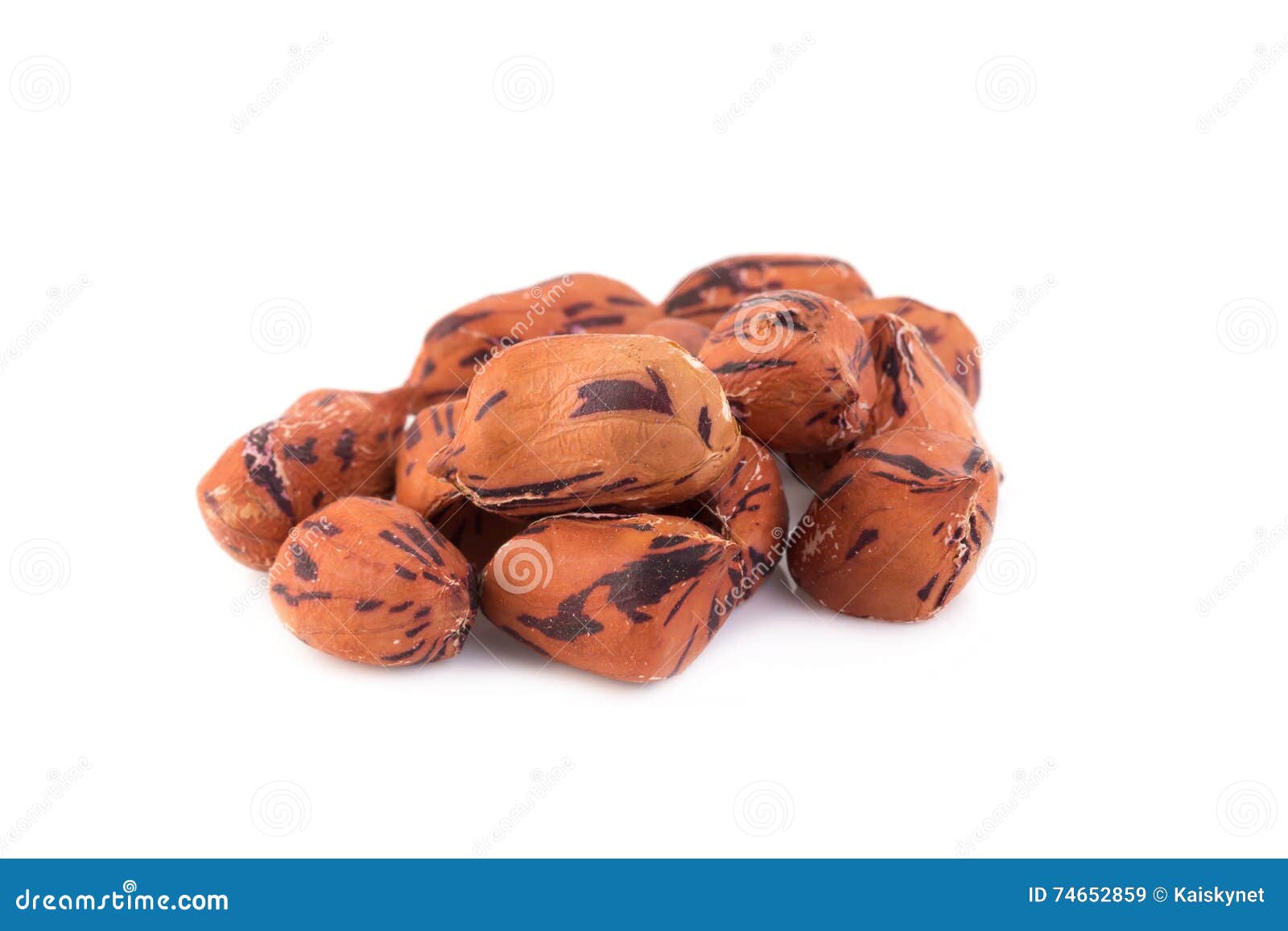 Roasted Tiger Peanuts on White Background Stock Image - Image of brown ...