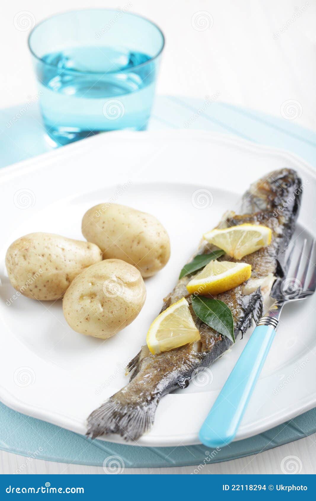 Roasted trout stock photo. Image of boiled, leaf, plate - 22118294