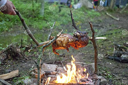 Roasting Chicken Over a Campfire Stock Photo - Image of clever ...