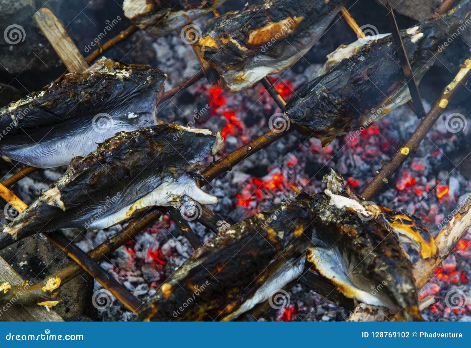 Roasting fish on fire stock photo. Image of grilling - 128769102