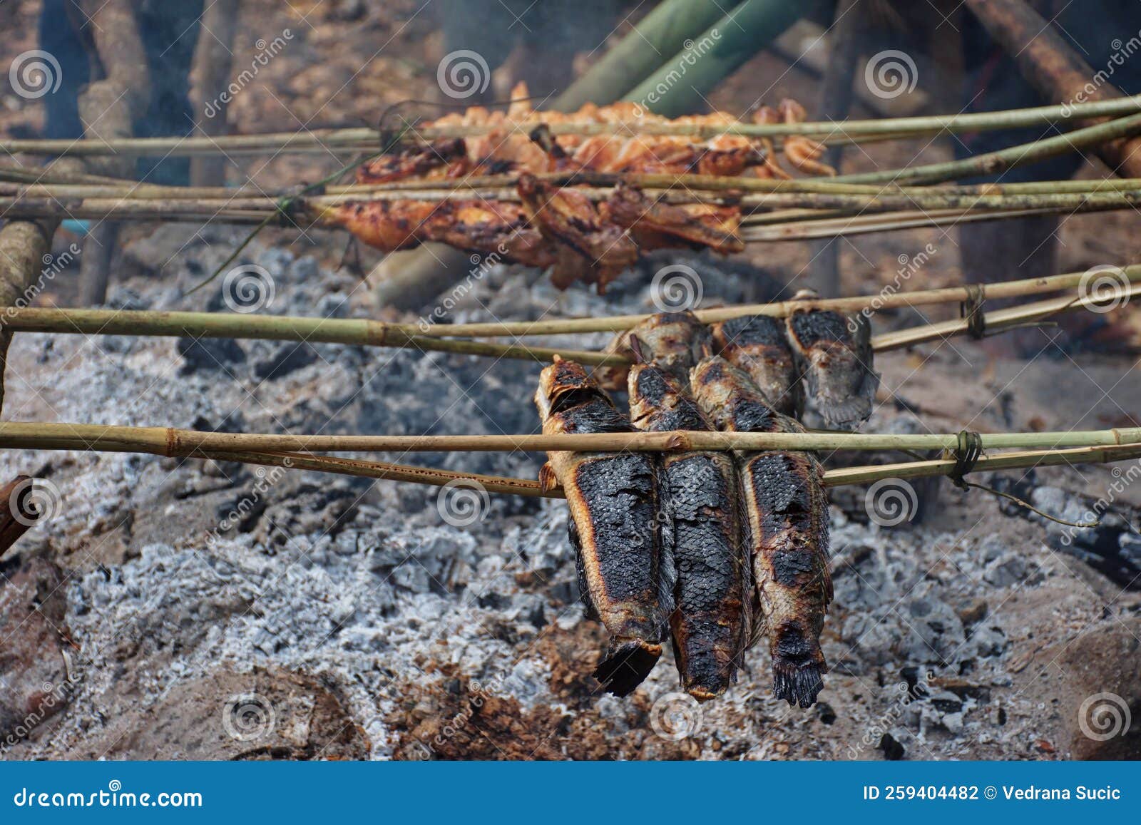 Food stock photo. Image of roasted, barbecue, camp, forest - 259404482