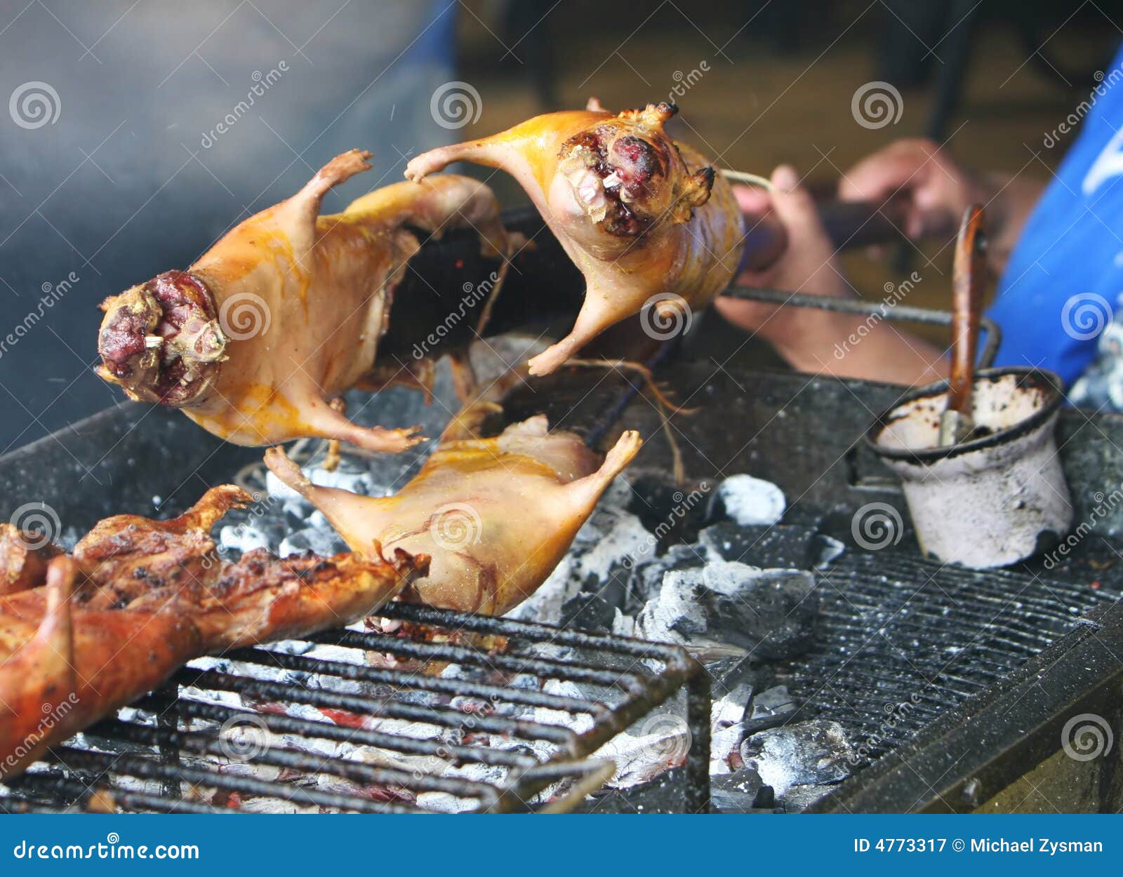 Roasting Guinea Pigs stock image. Image of highlands, ecuador - 4773317
