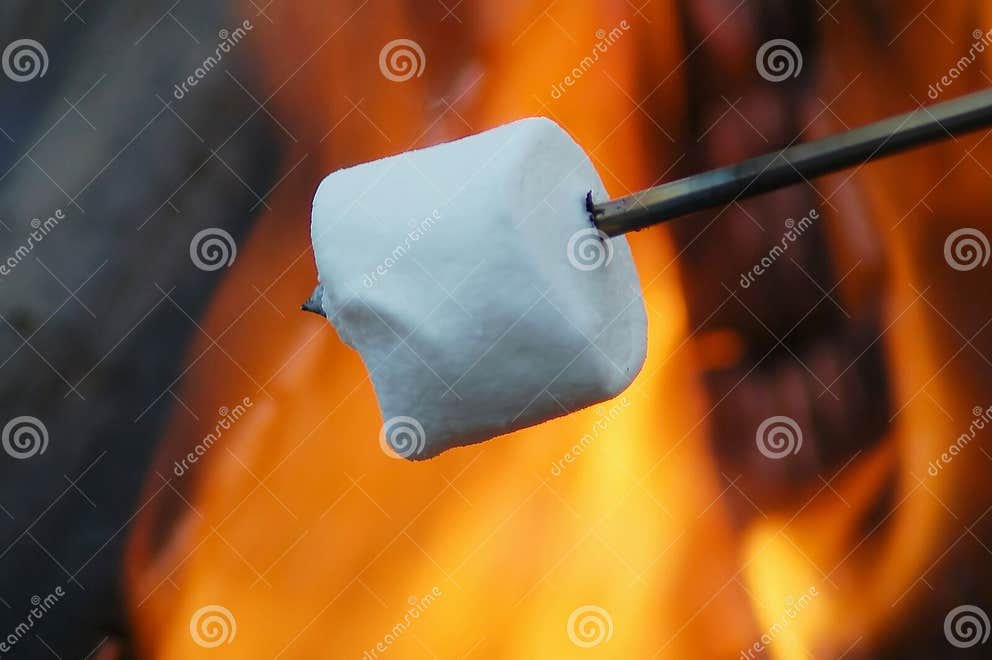 Roasting Marshmallow stock image. Image of camping, fire - 225767