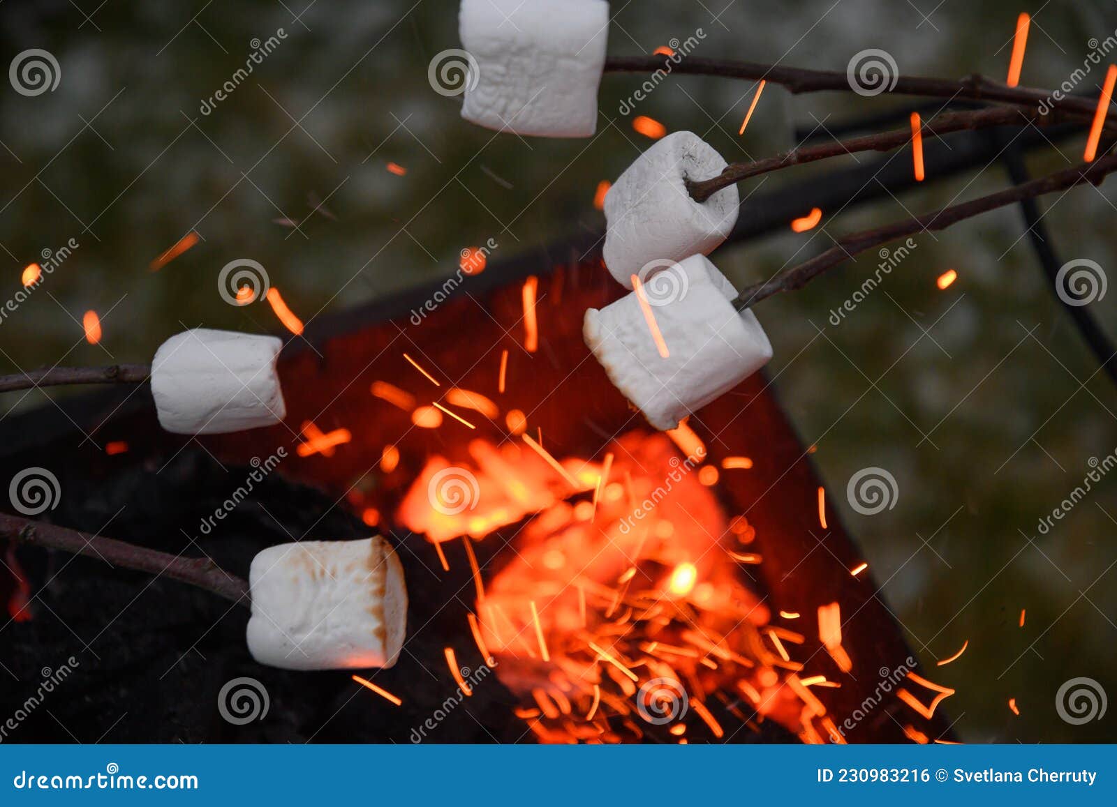 Roasting Marshmallow on a Fire at the Evening. Stock Photo - Image of ...