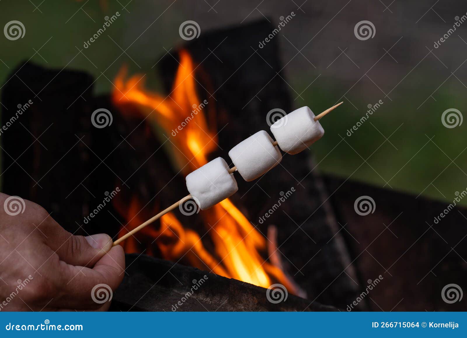 Roasting Marshmallow on a Stick Stock Photo - Image of dessert, grill ...