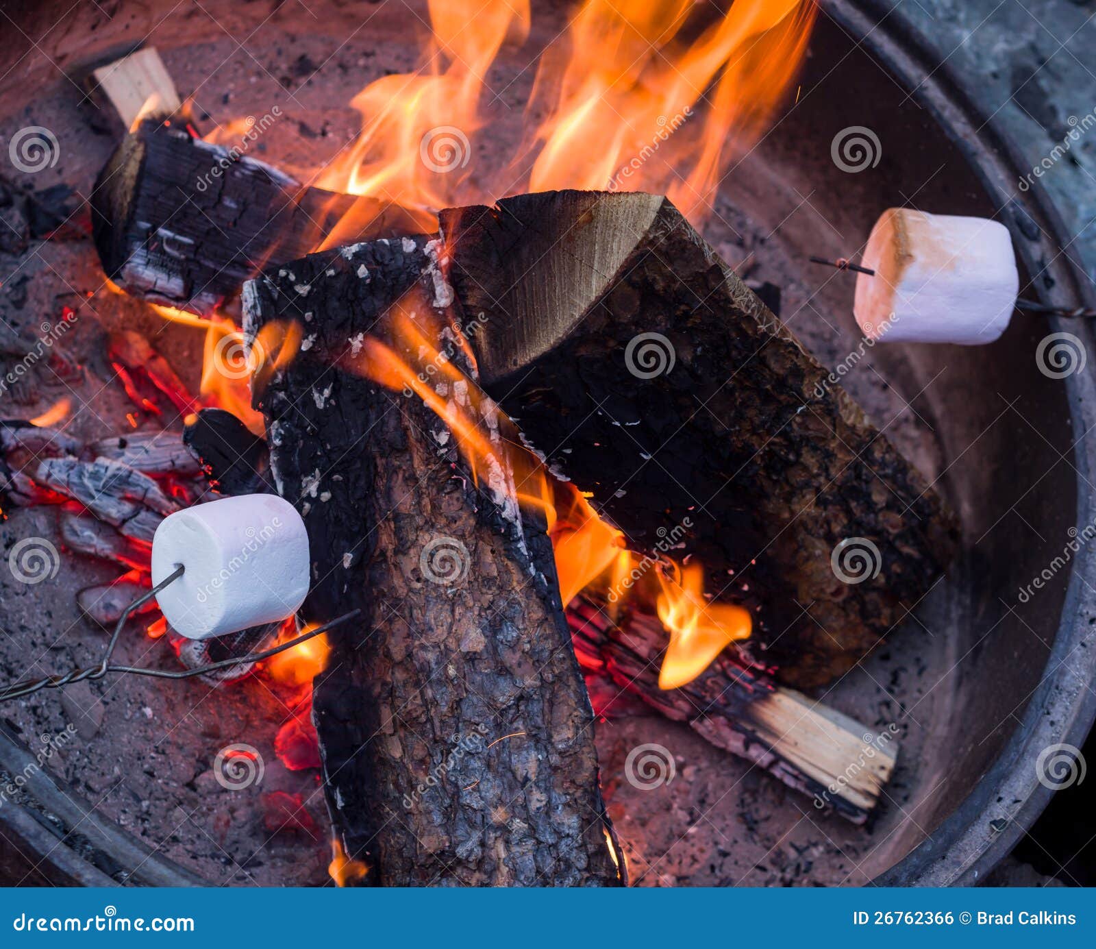 Roasting marshmallows stock photo. Image of flames, coals - 26762366