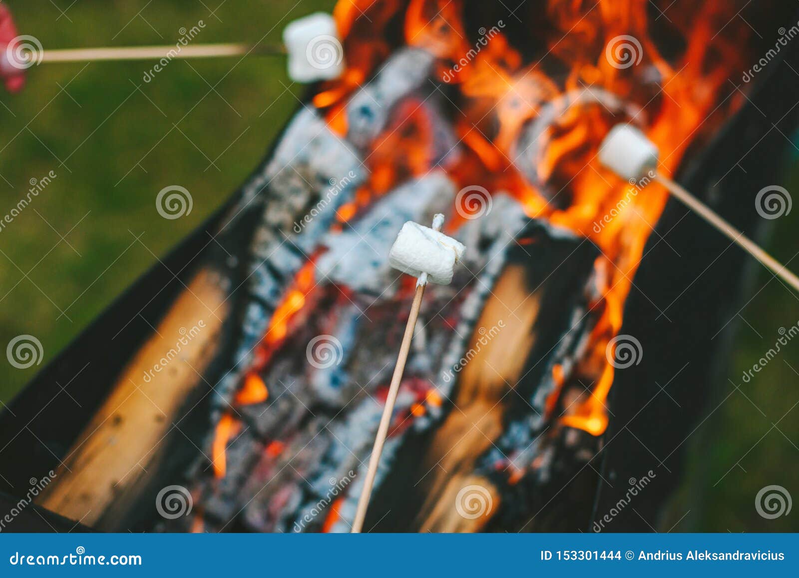 Roasting marshmallows stock photo. Image of barbecue - 153301444