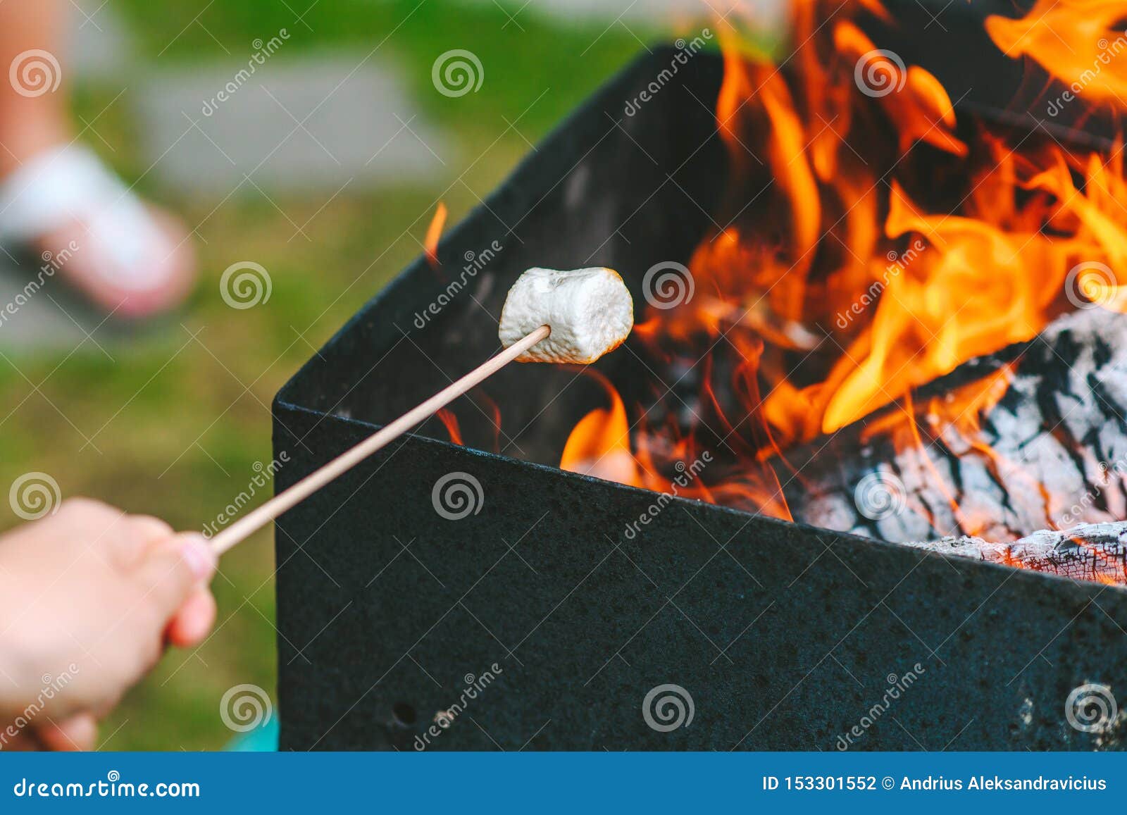 Roasting marshmallows stock photo. Image of delicious - 153301552
