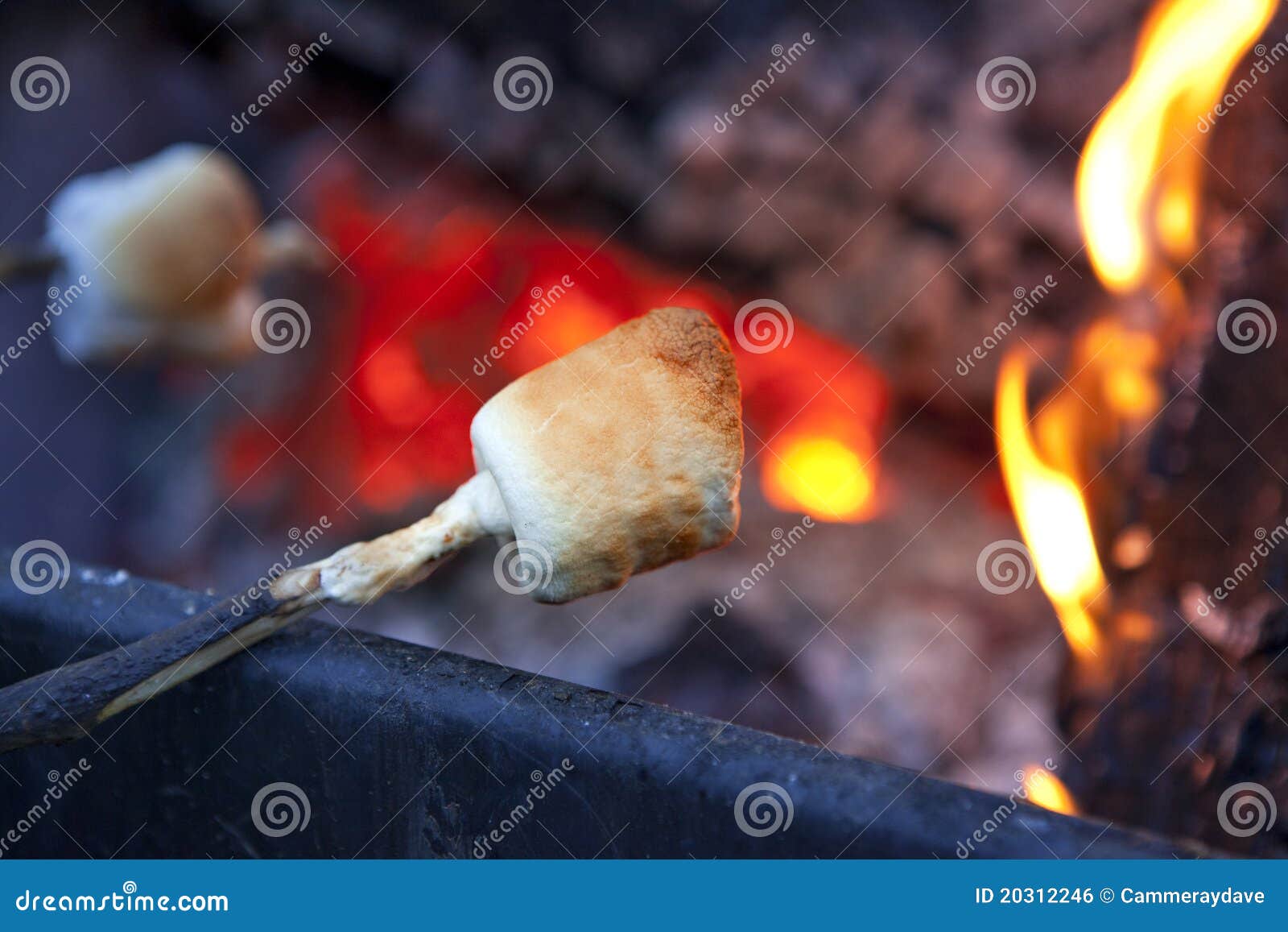 Roasting Marshmallows Over Campfire Stock Photo - Image of warming ...