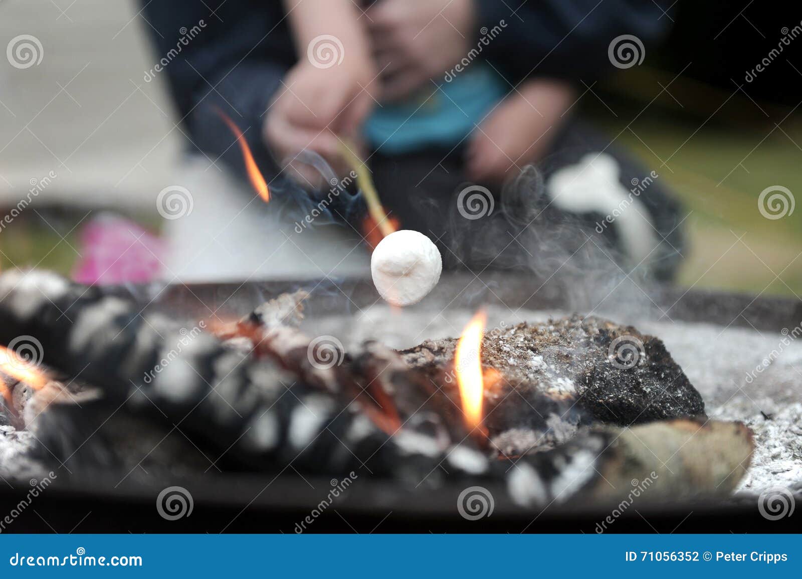 Roasting marshmallows stock photo. Image of toasting - 71056352