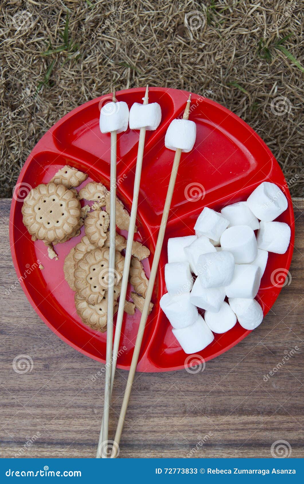 Roasting marshmallows stock image. Image of sweet, white - 72773833