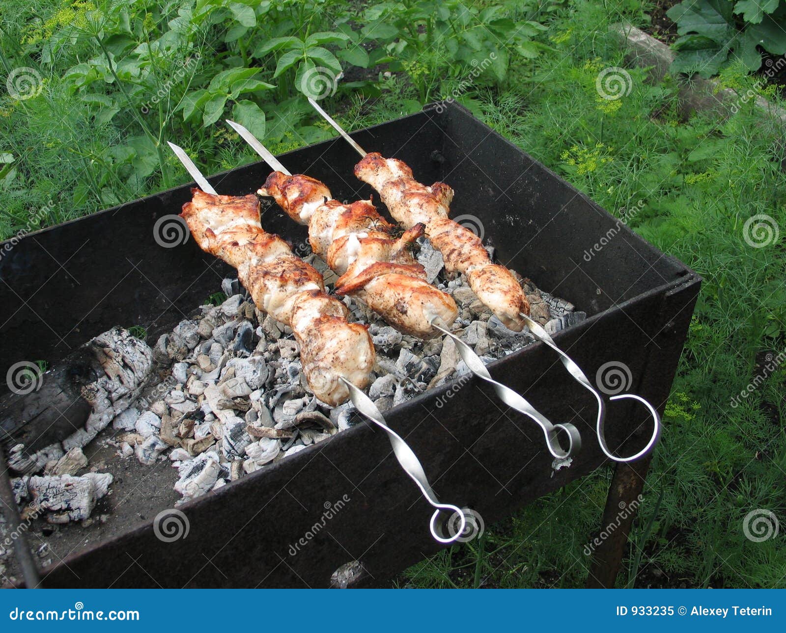 Roasting meat stock image. Image of porkchop, grillmarks - 933235