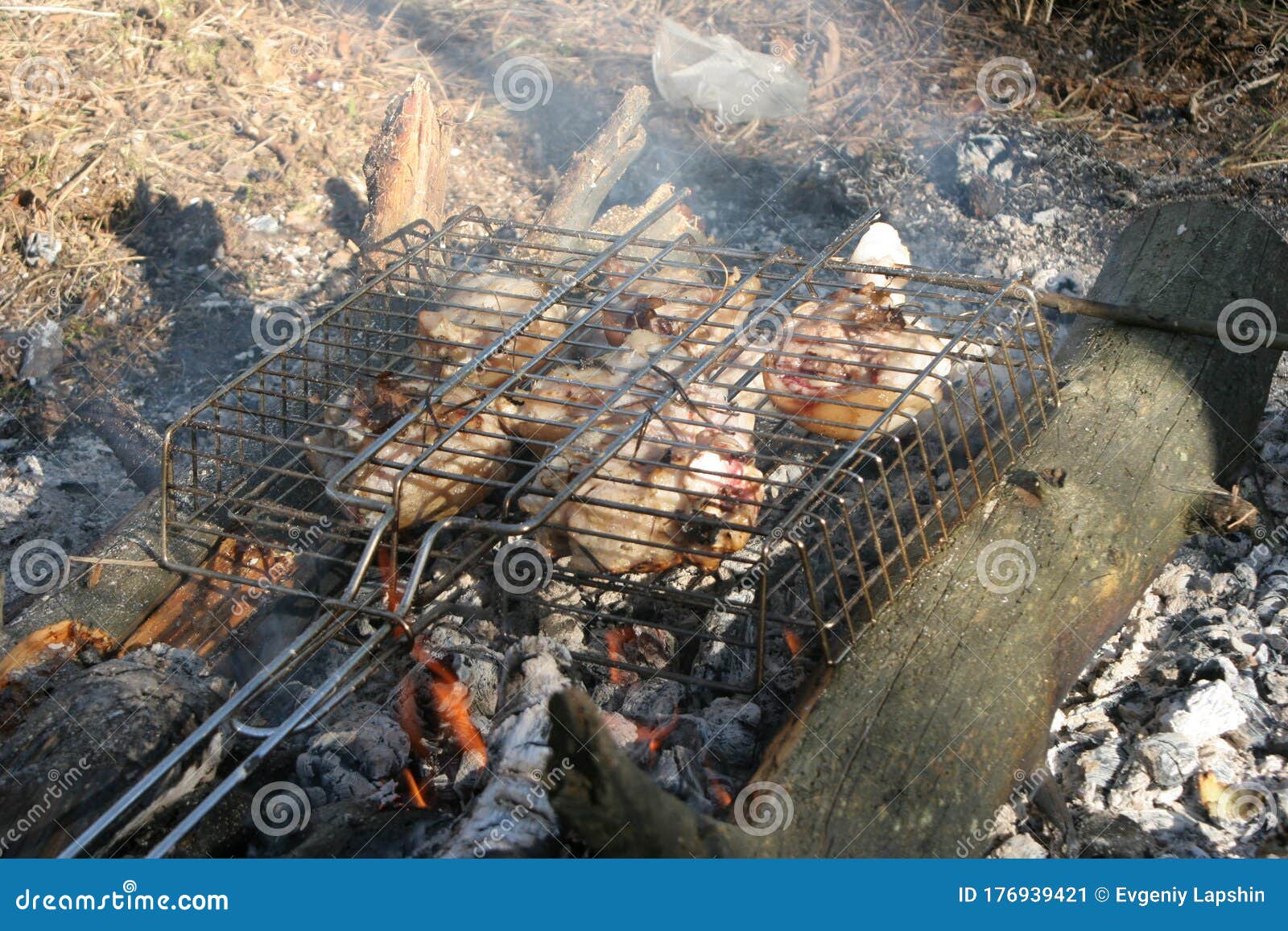 Roasting Meat on Coals, in an Iron Mesh. in the Forest, in Nature ...