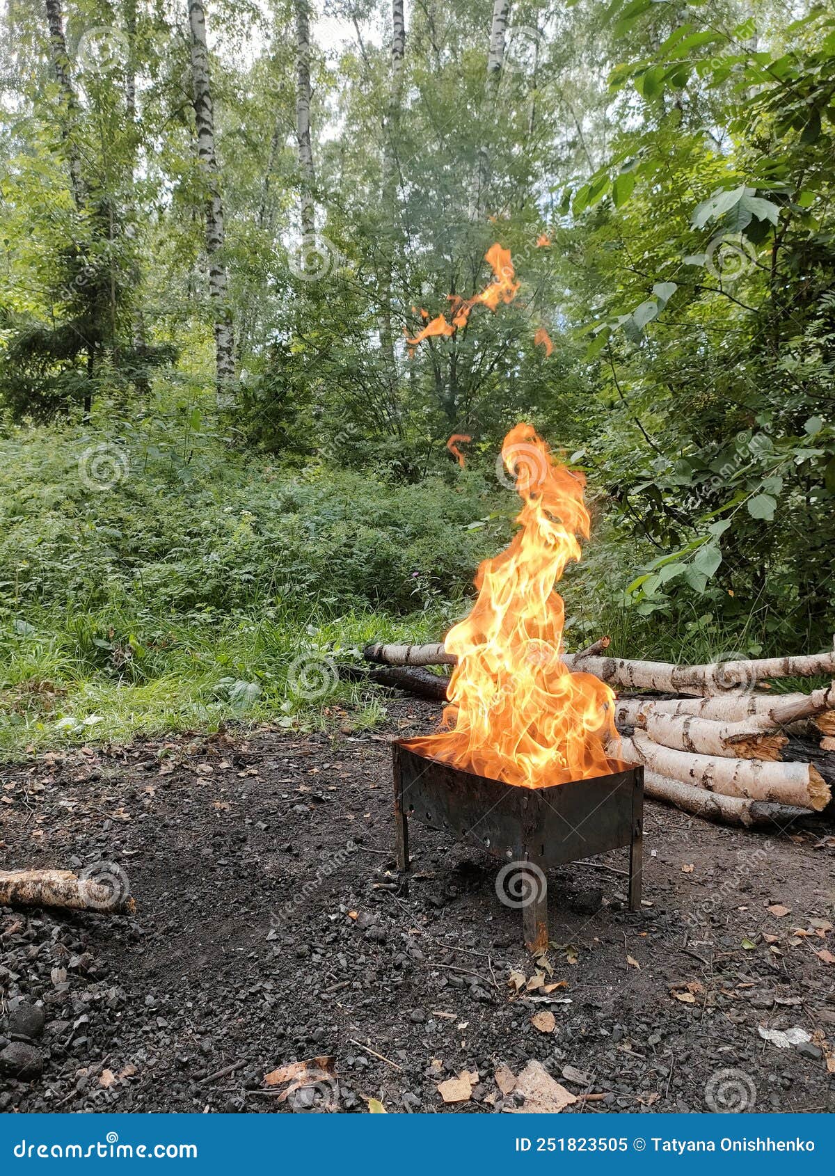 Roasting Meat on the Grill in the Forest. Stock Image - Image of sammer ...