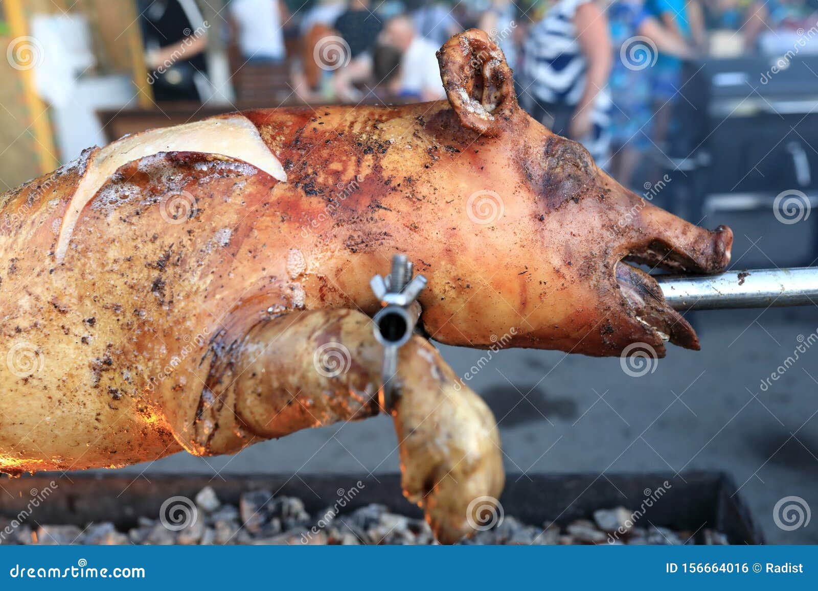 Roasting pig on spit stock photo. Image of nutrition - 156664016