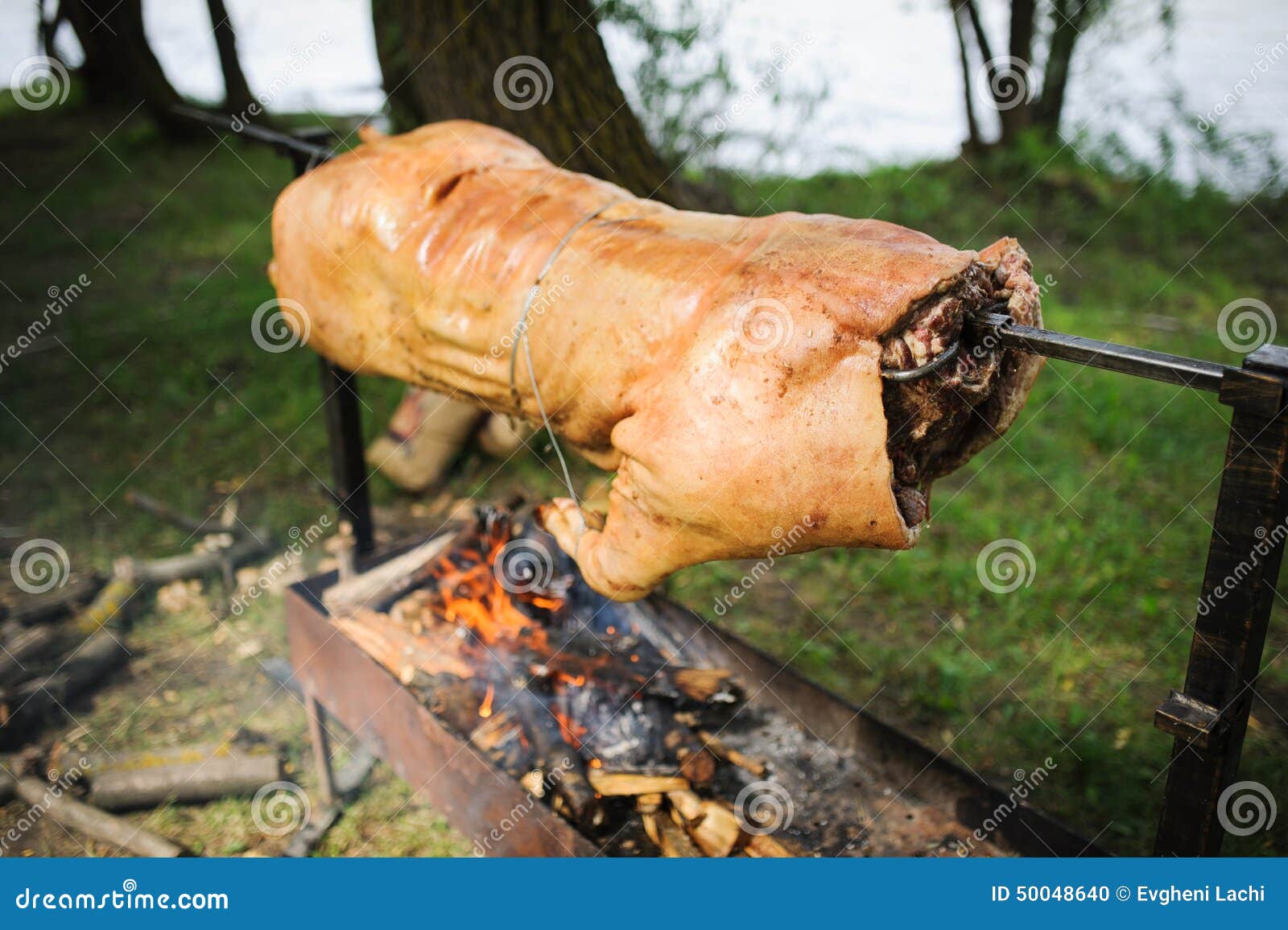 Roasting pig stock photo. Image of porky, roast, banquet - 50048640