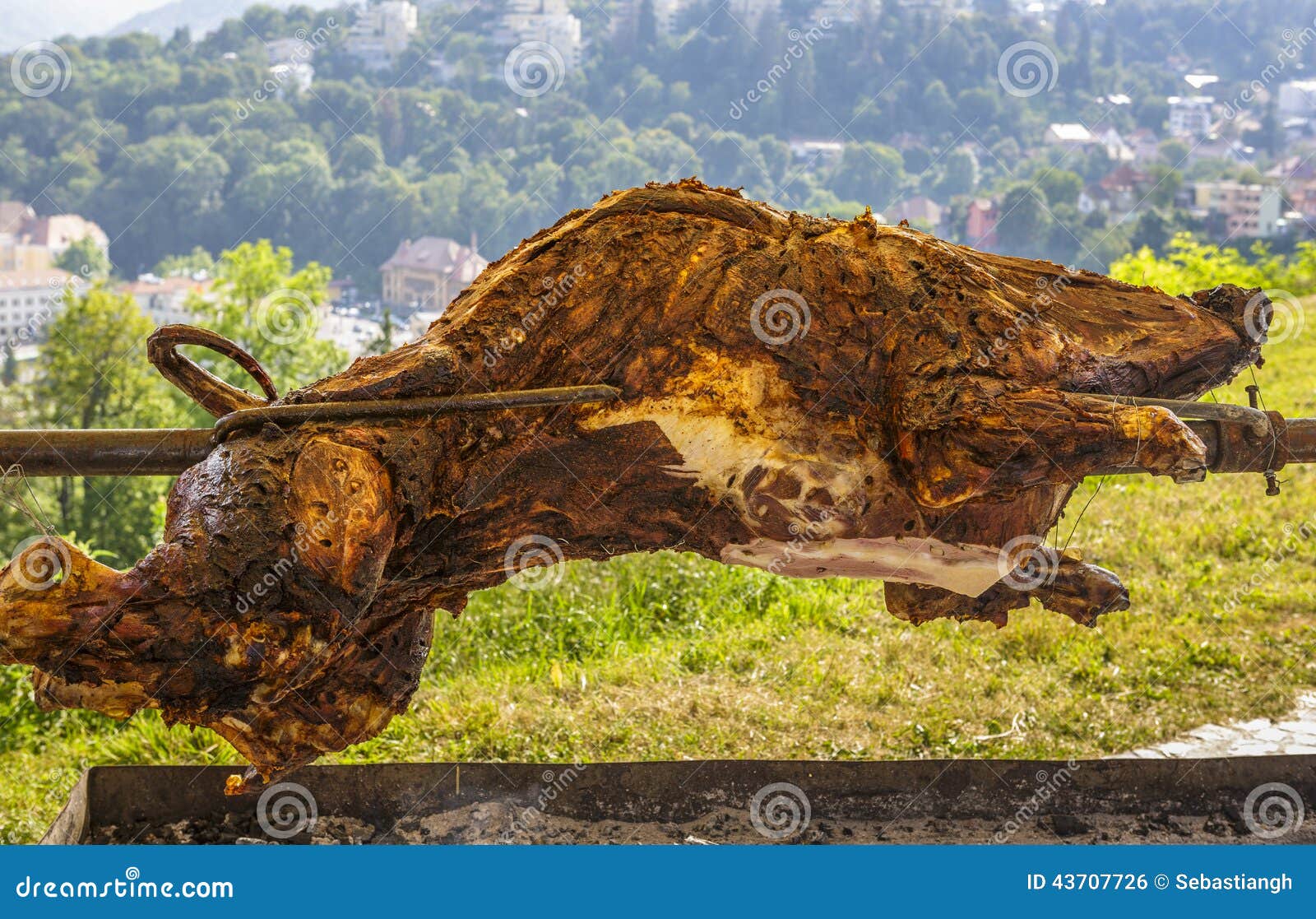 Roasting wild boar stock photo. Image of full, lunch - 43707726