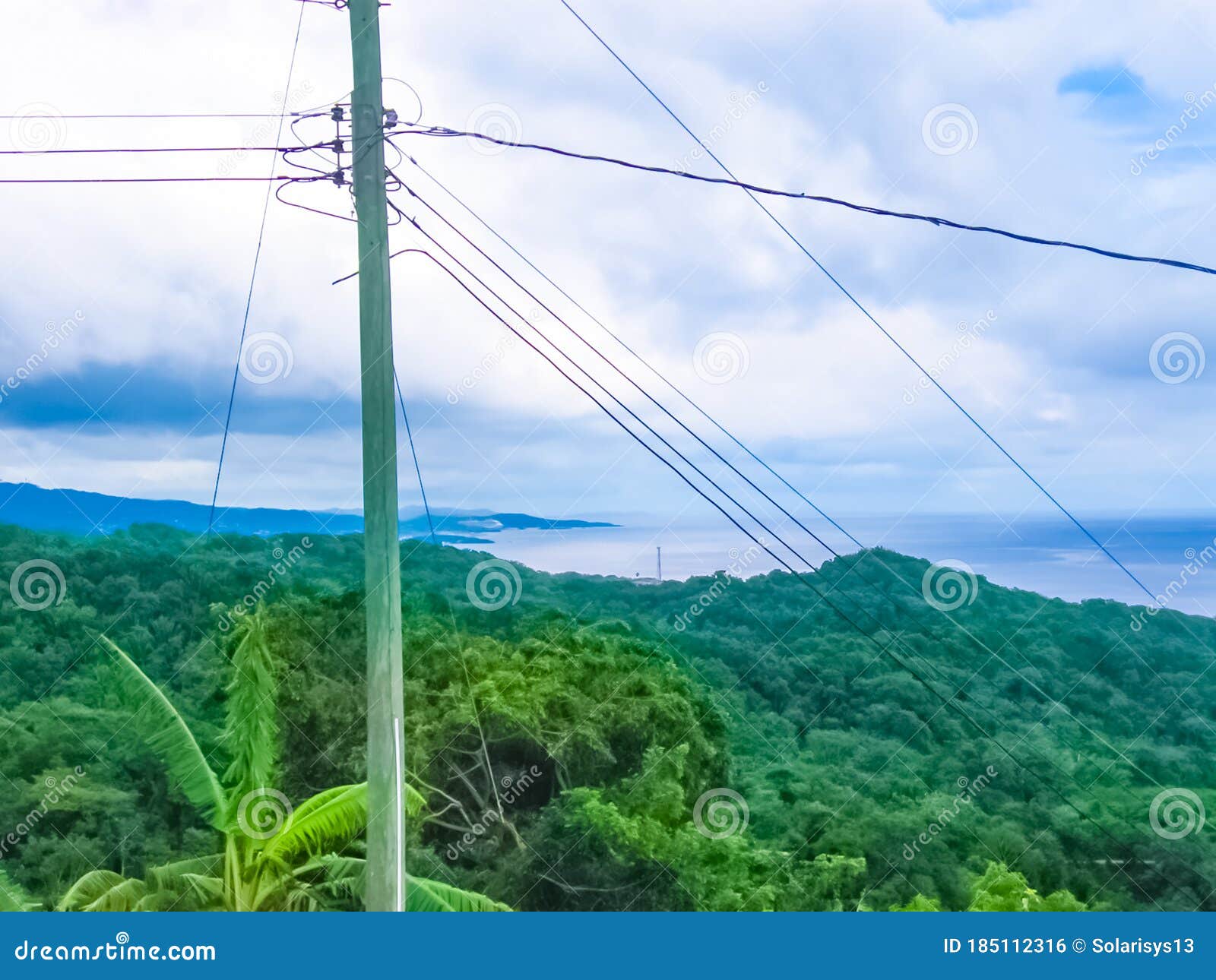 The Roatan Island Road with Trees at Honduras Stock Photo - Image of ...