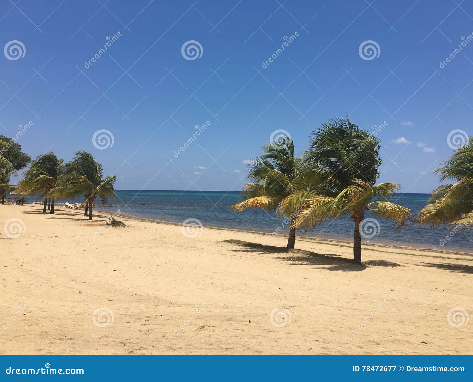 Roatan stock image. Image of roatan, beach, caribbean - 78472677